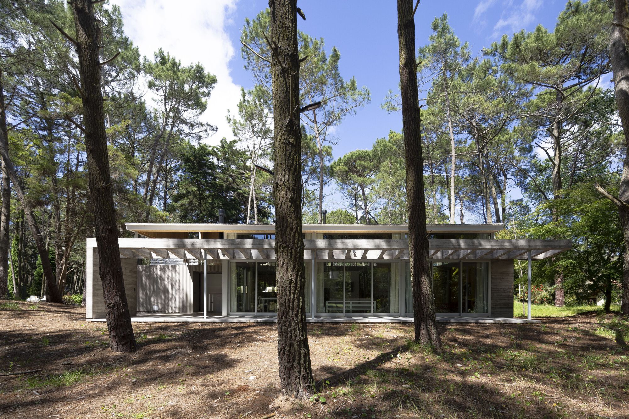 Gallery of Pingüino House / Estudio Galera - 9