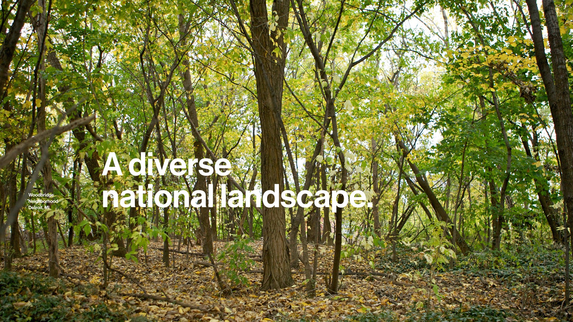 Gallery of Next Generation of Landscape Architecture Leaders Focus on ...