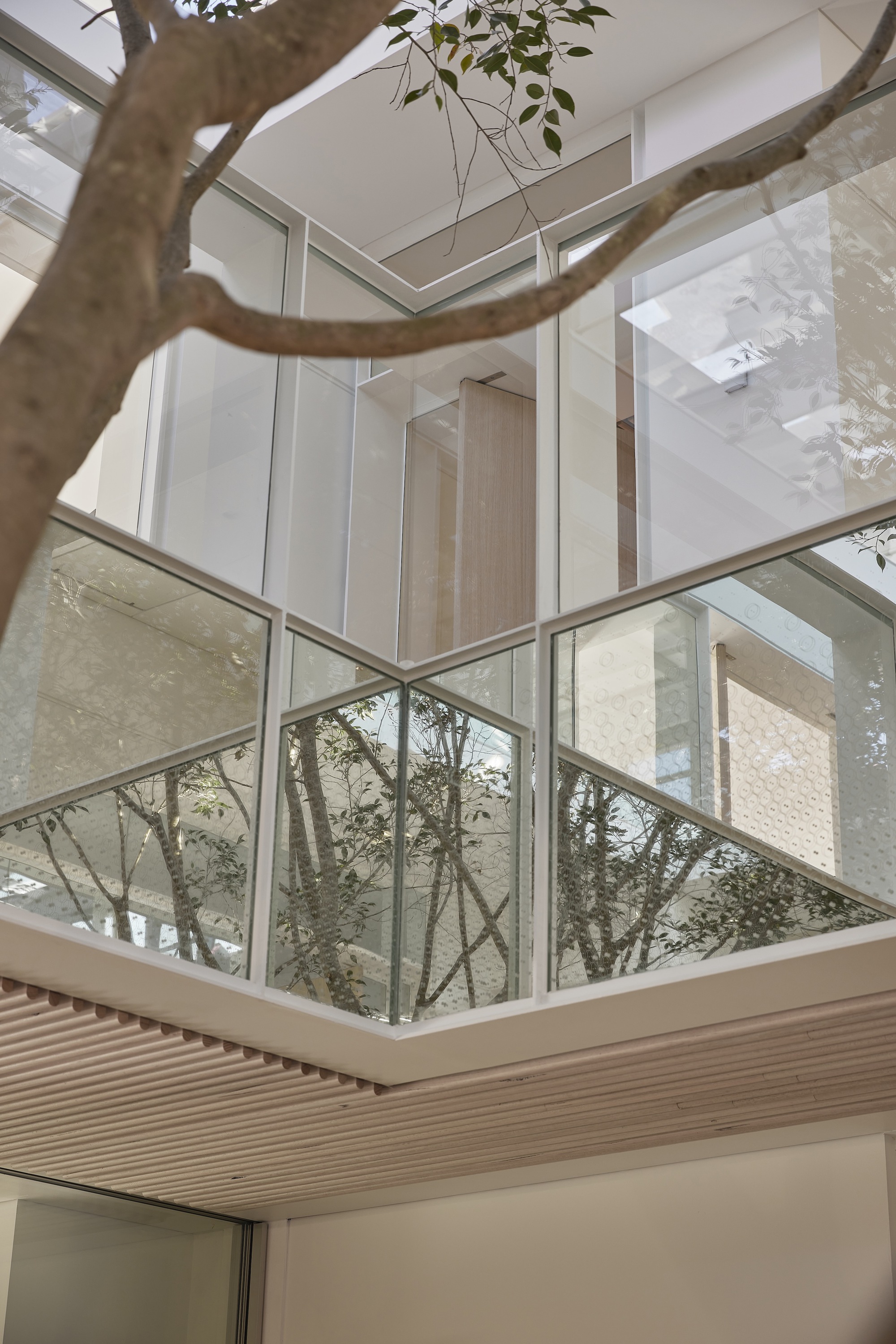 Gallery of Campbel House Offices / Tonkin Zulaikha Greer Architects - 5