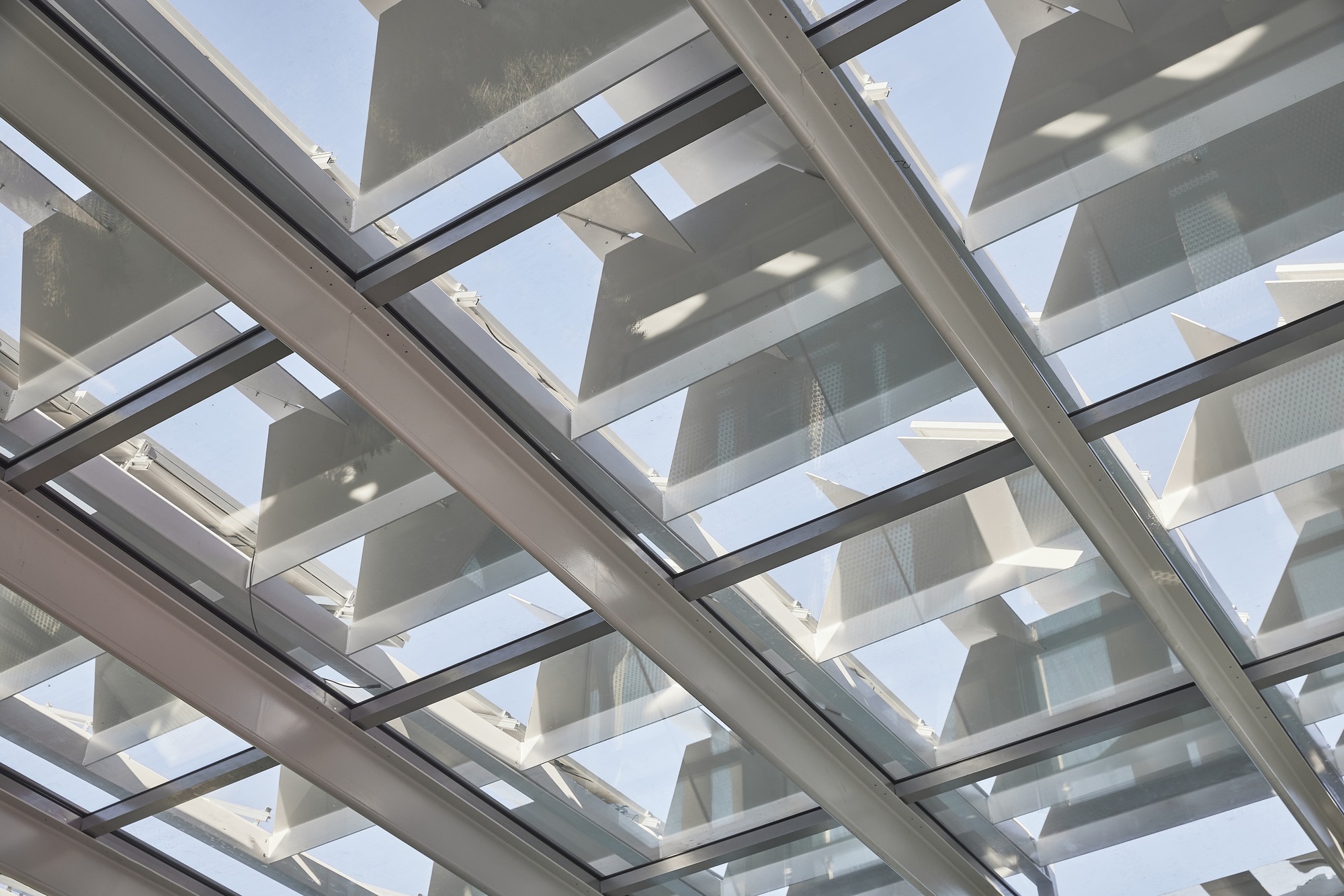 Gallery of Campbel House Offices / Tonkin Zulaikha Greer Architects - 14