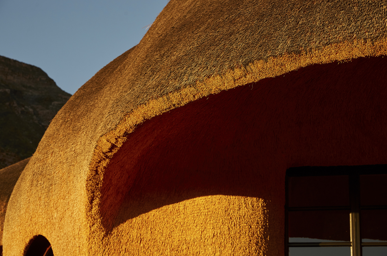 Gallery of Natural Roofs: Sustainable Alternatives for Modern Buildings - 3