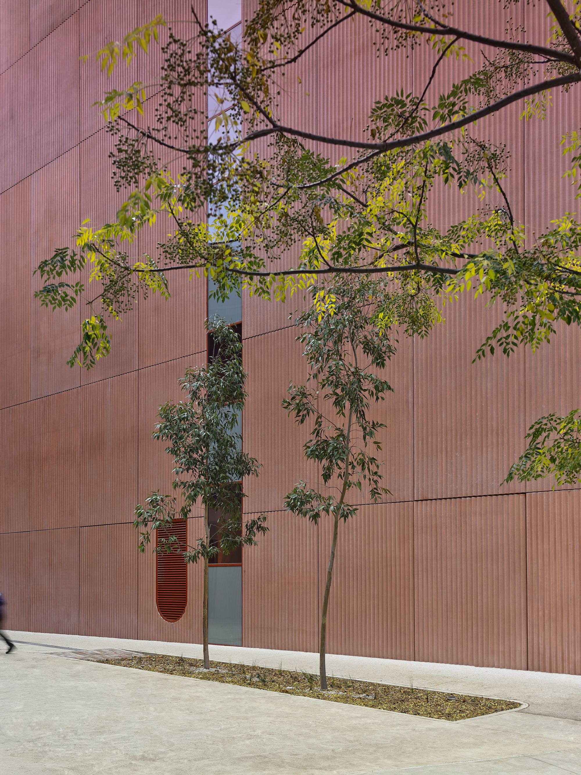 Gallery of Mount Alexander College / Kosloff Architecture - 12