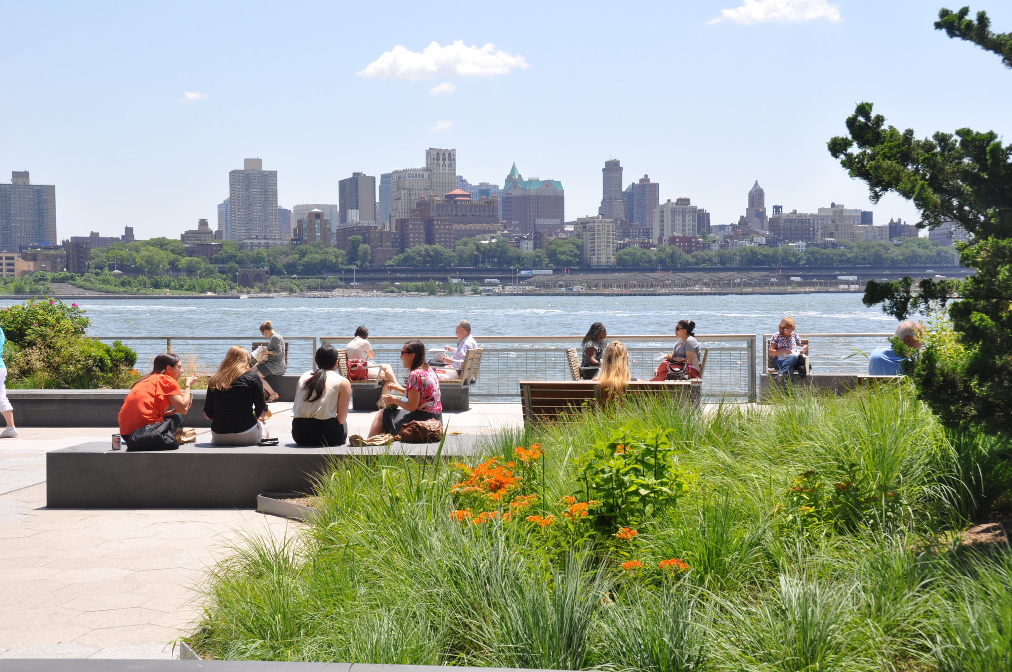 Gallery of East River Waterfront / SHoP Architects - 4
