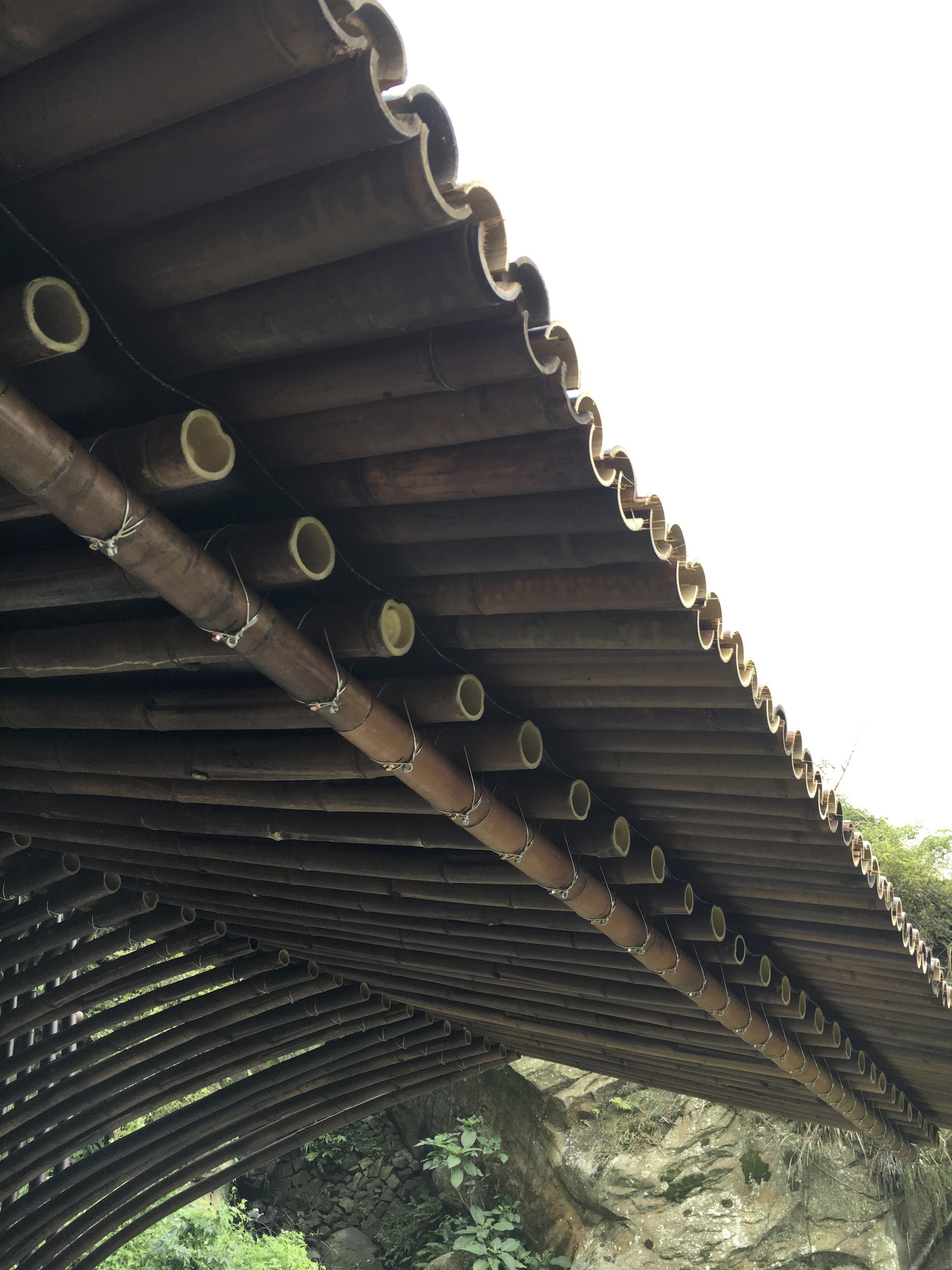 Galería de Casa de té en Clear Water / Behet Bondzio Lin Architekten - 19