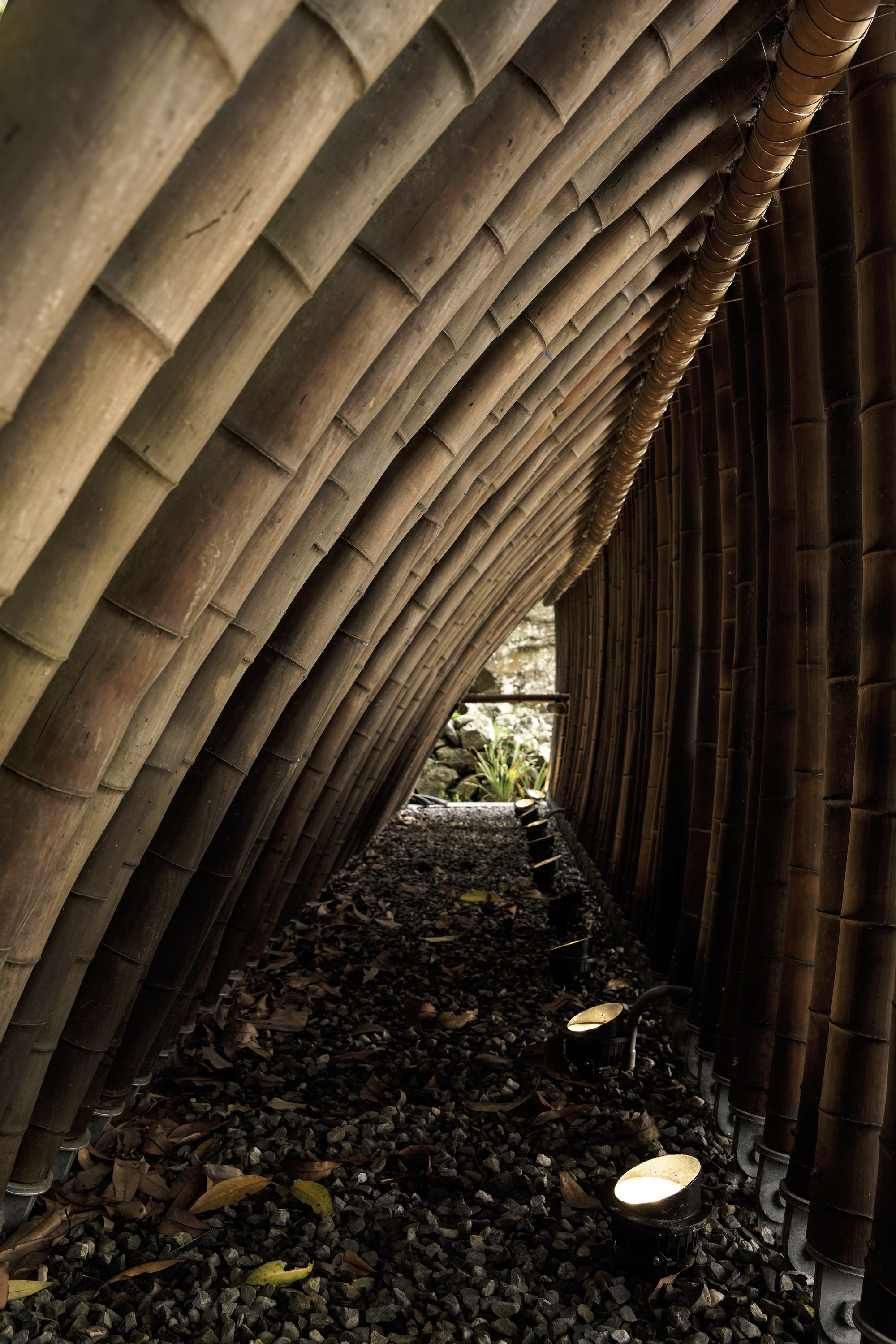 Gallery of Clear Water Tea House / Behet Bondzio Lin Architekten - 15