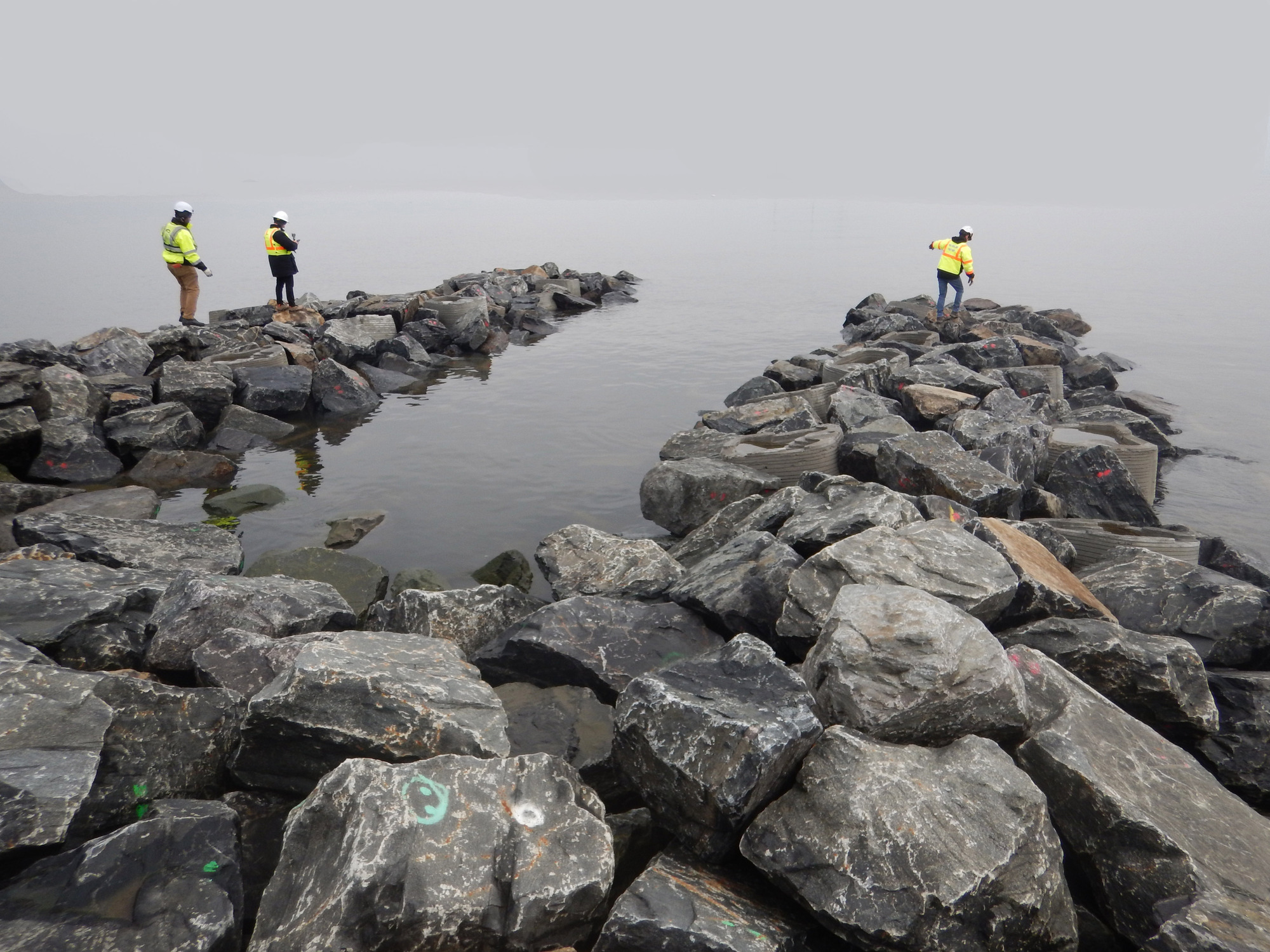 Gallery of ‘Living Breakwaters’ by SCAPE Landscape Architecture Wins ...