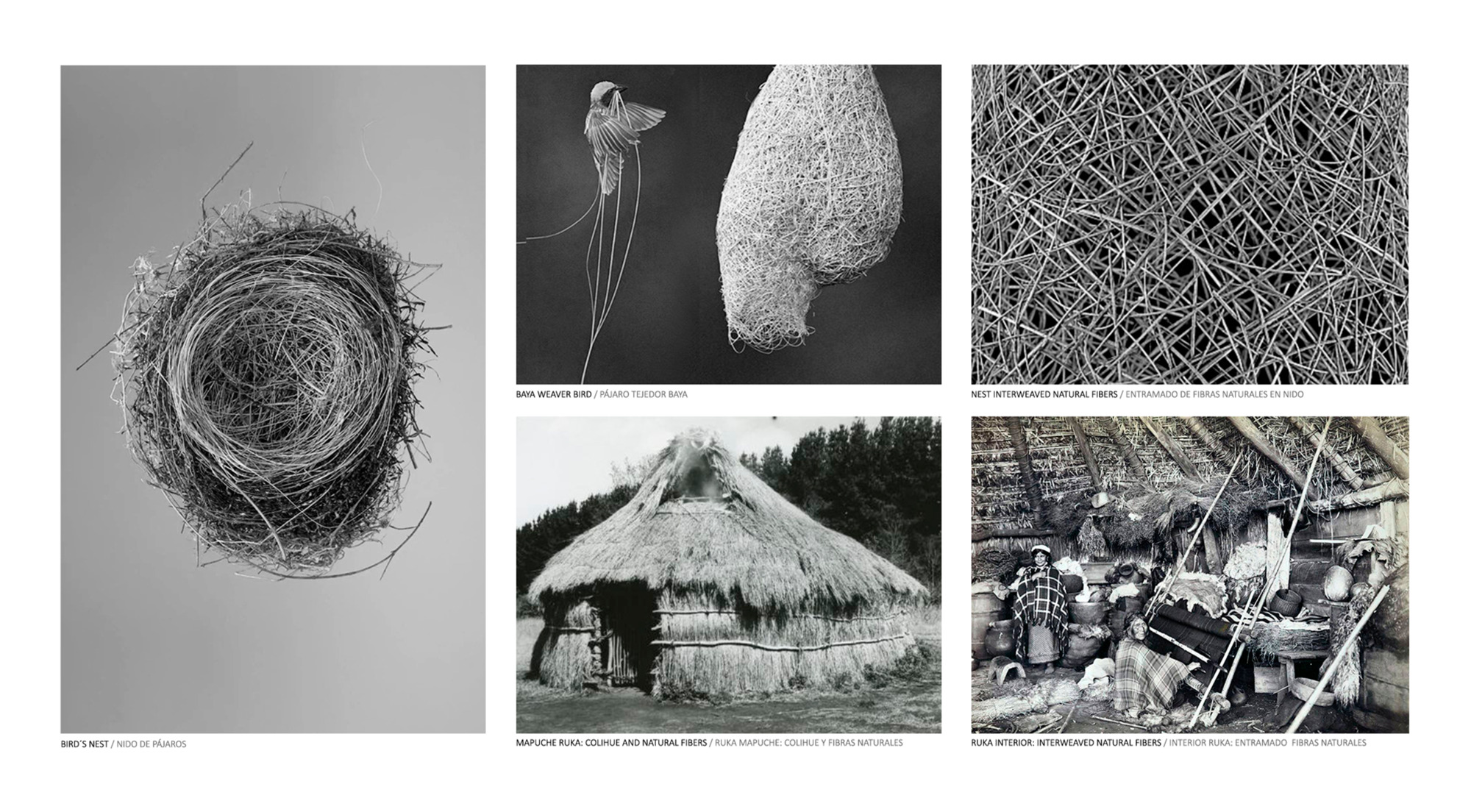 Gallery of BASE Studio Reveals the Constructive, Structural, and ...