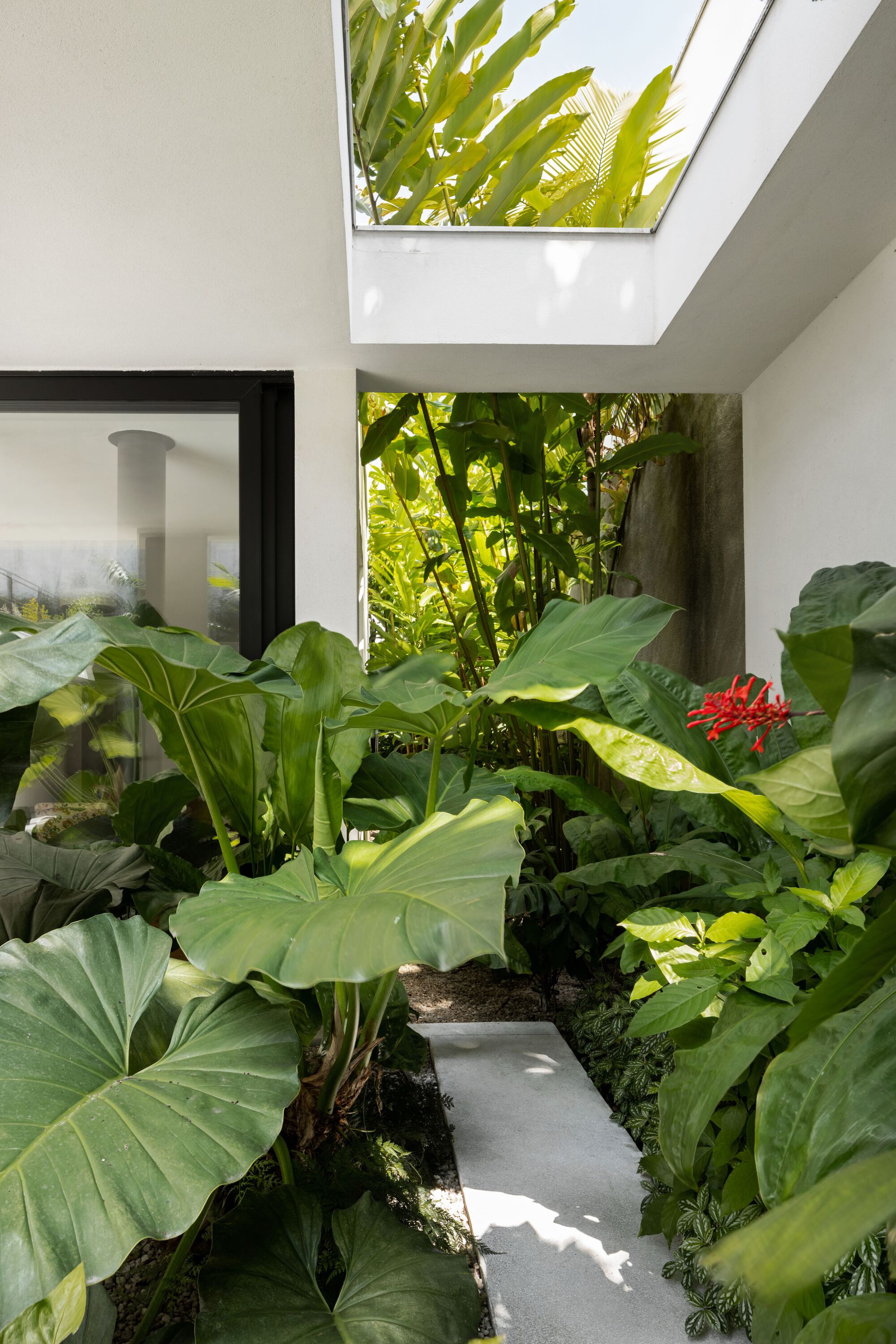 Gallery of Jacupiranga Garden / Gabriella Ornaghi e Bianca Vasone ...