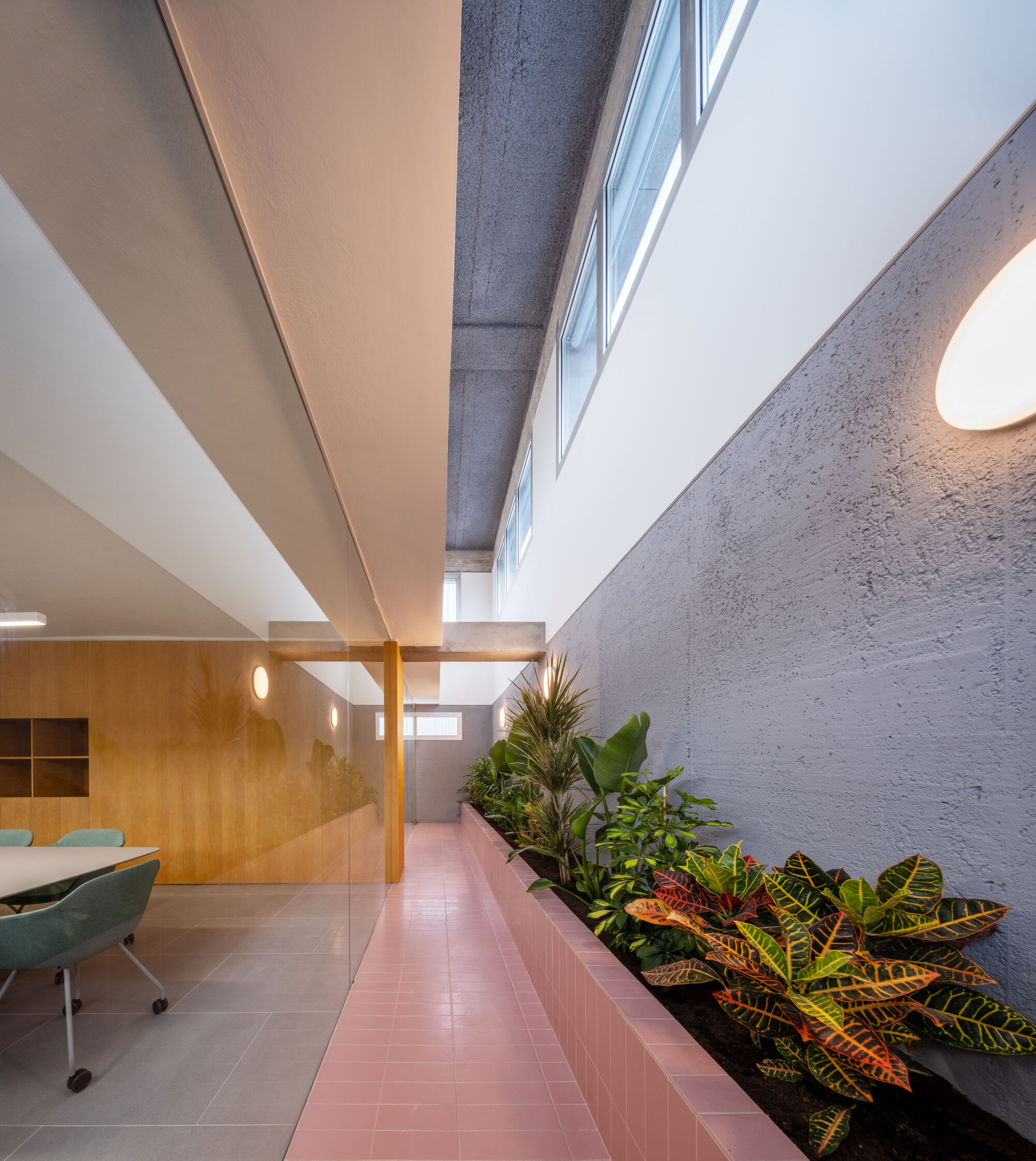 Gallery of Medifer Office / Impepinable Studio - 34