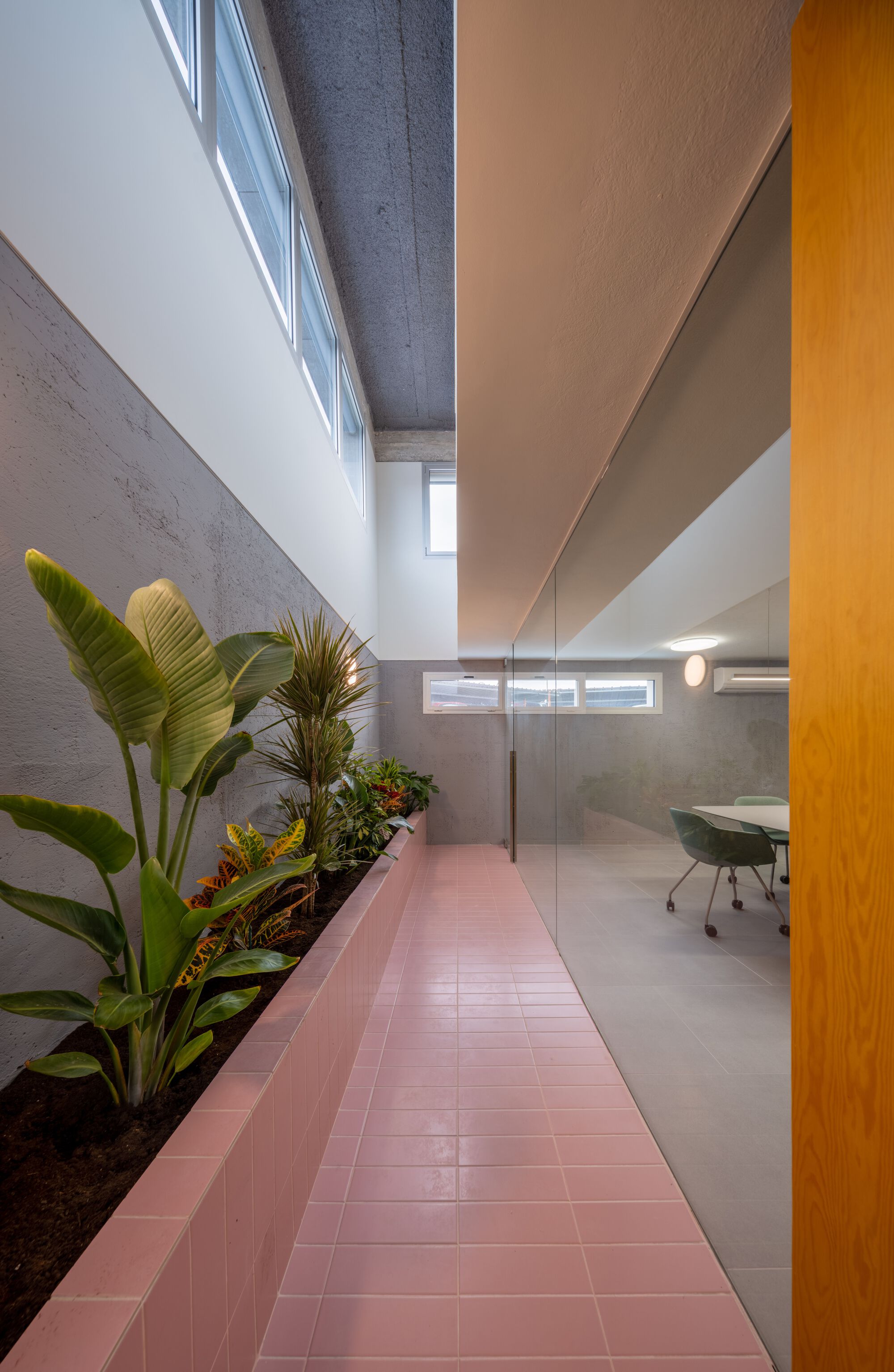 Gallery of Medifer Office / Impepinable Studio - 35