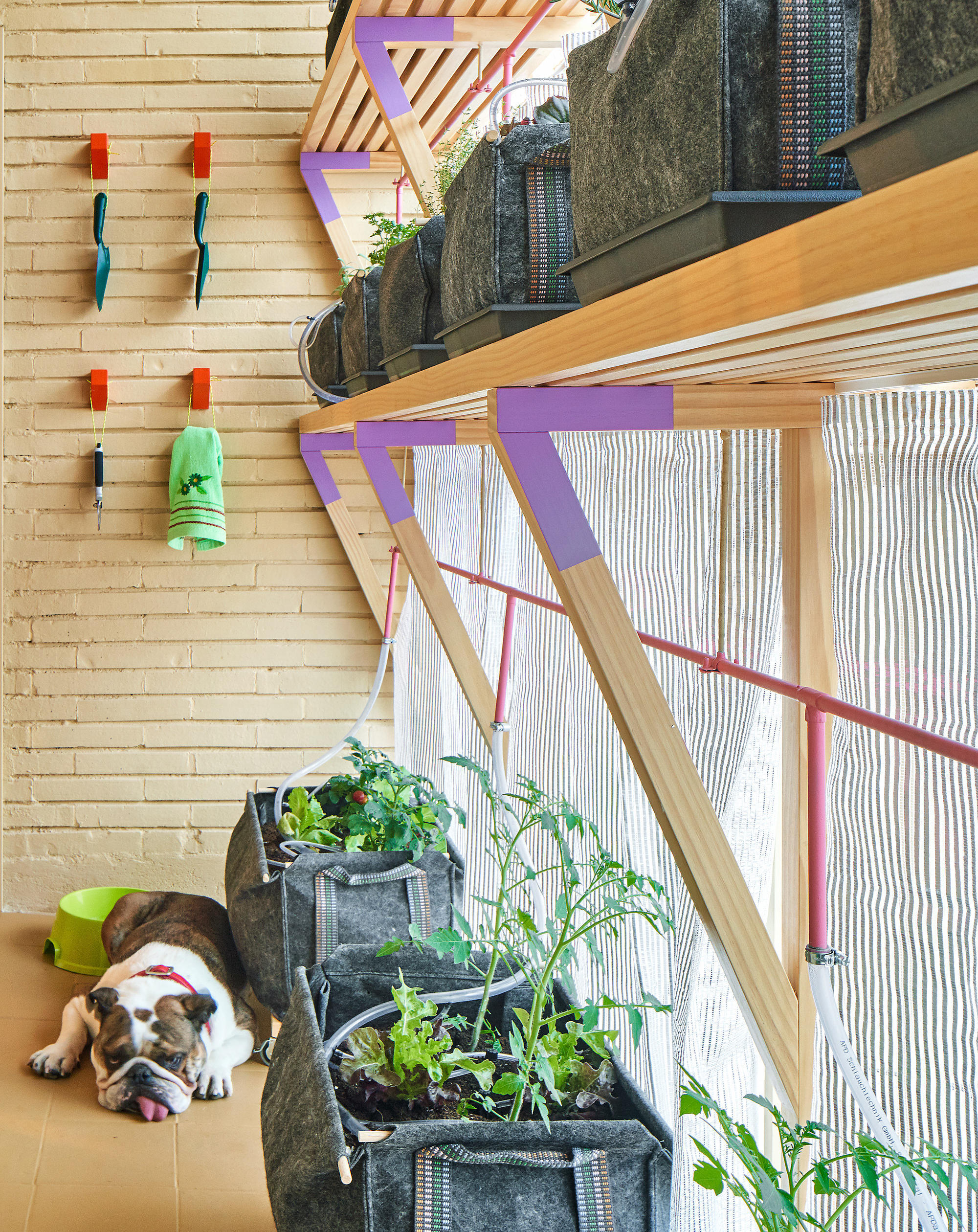 Gallery of How to Use Vertical Farming for Sustainable Living - 5