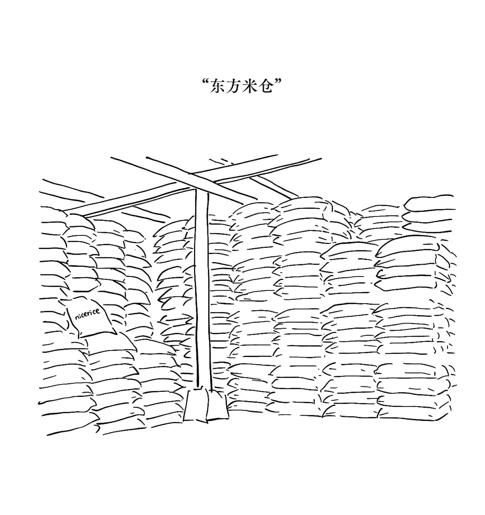 Gallery of Nice Rice Shanghai Flagship Store / say architects - 35