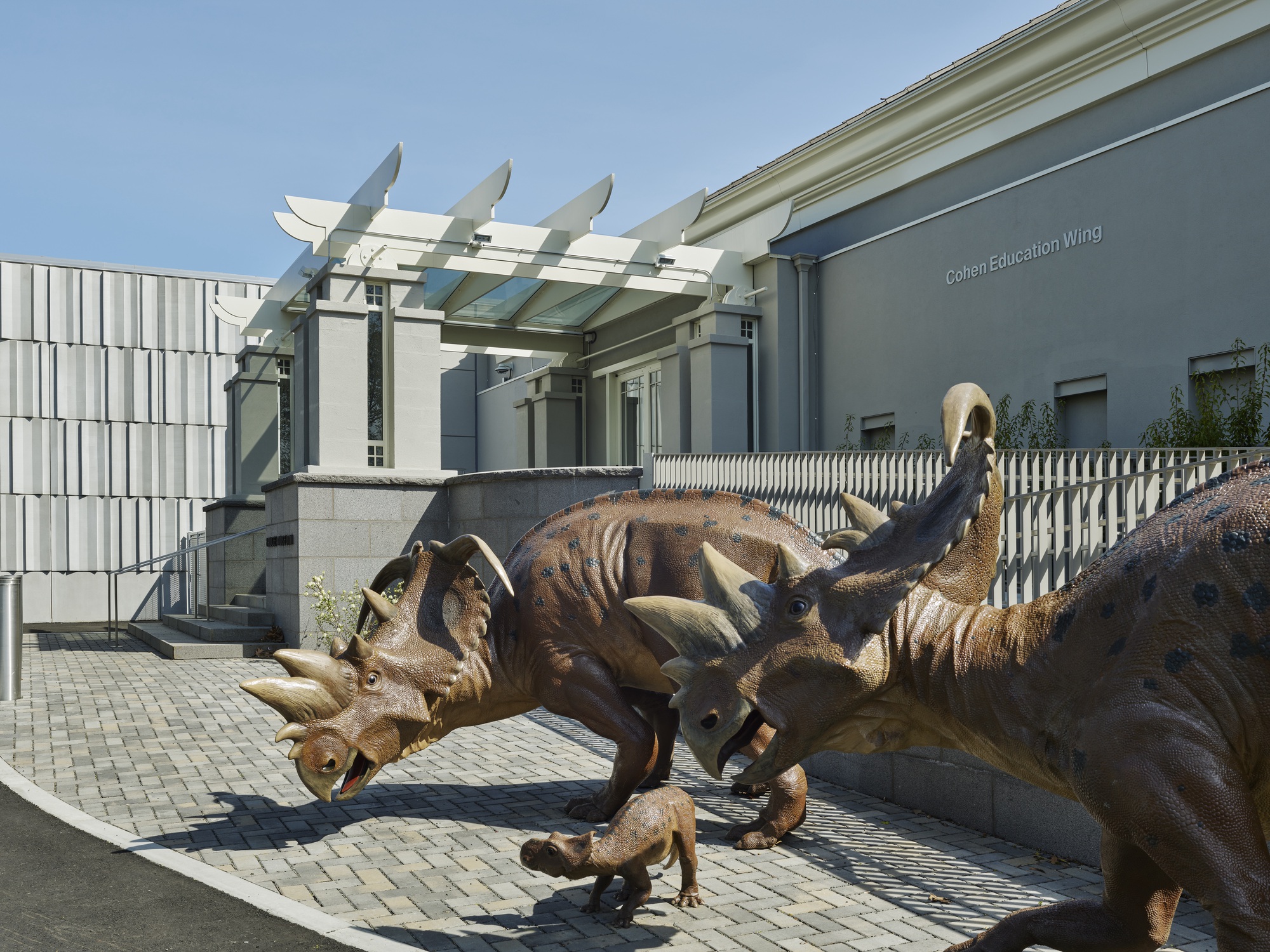 Gallery of Bruce Museum / Eskew+Dumez+Ripple - 20