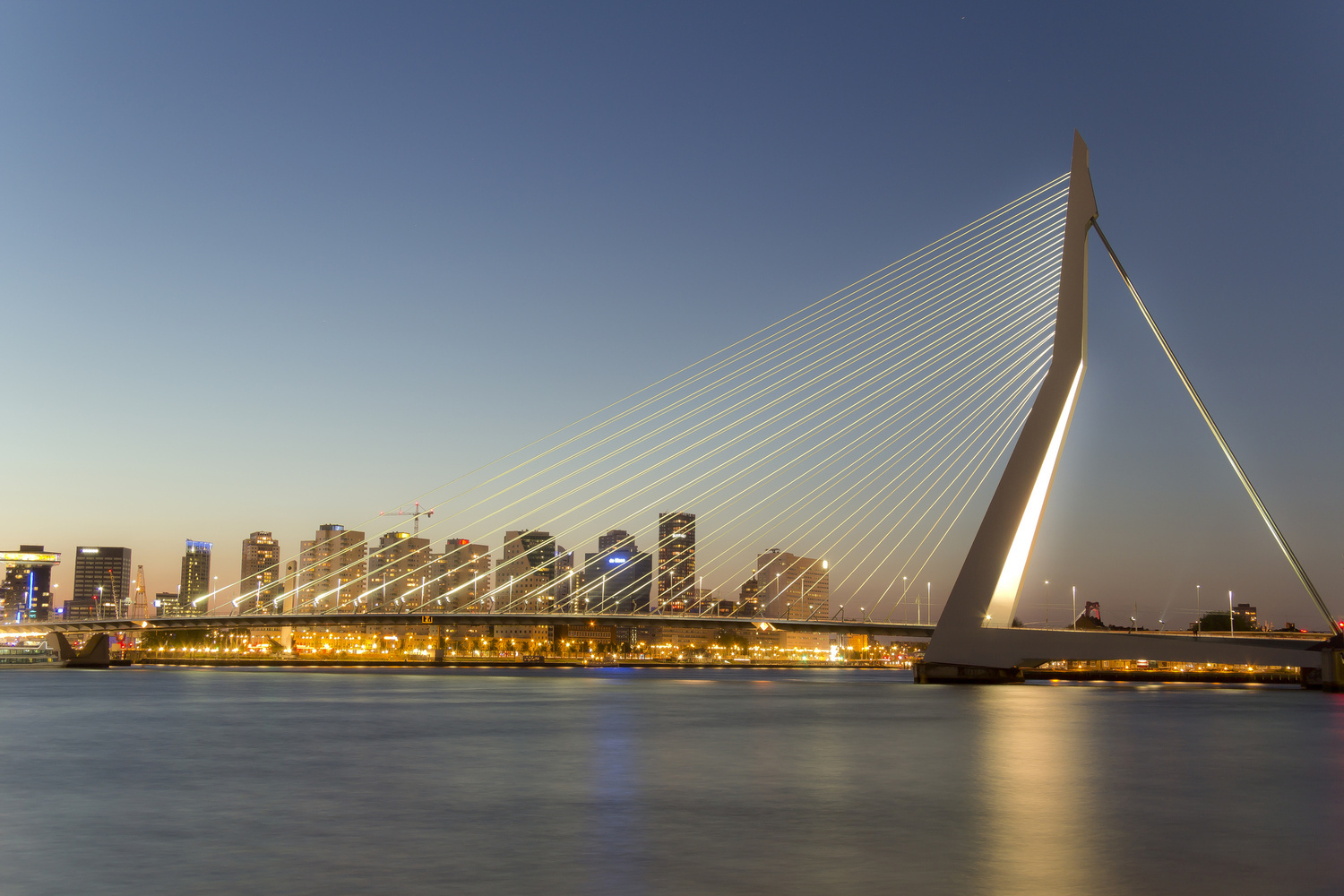 Gallery of Rotterdam City Guide: 20 Projects to Discover in Netherlands ...
