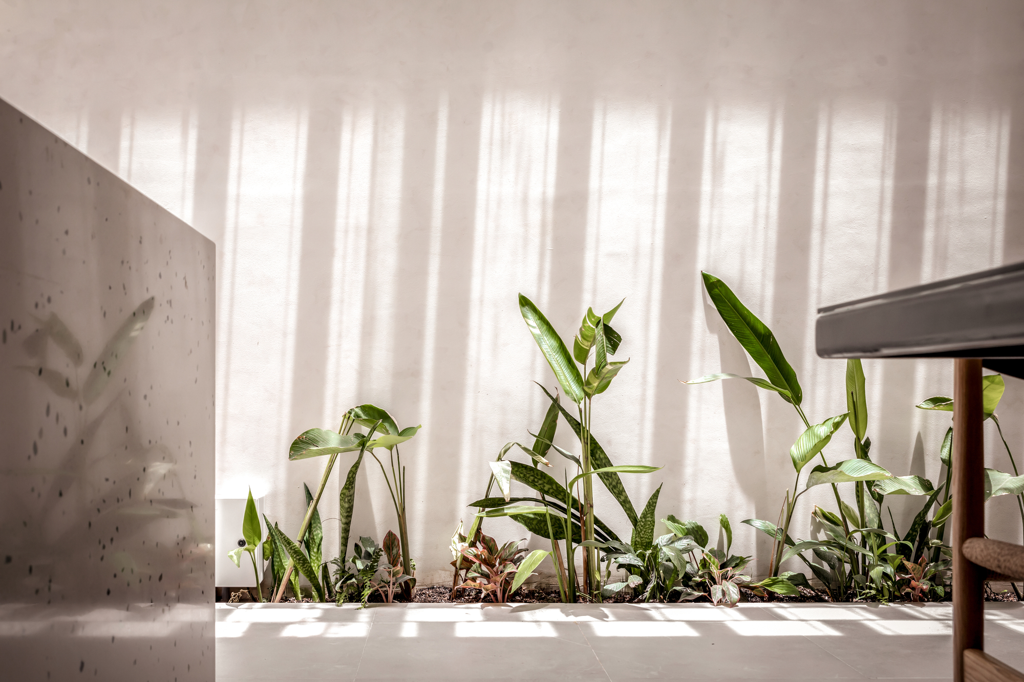 Gallery of Nhà Voi 7 Gardens House / DA VÀNG studio - 11