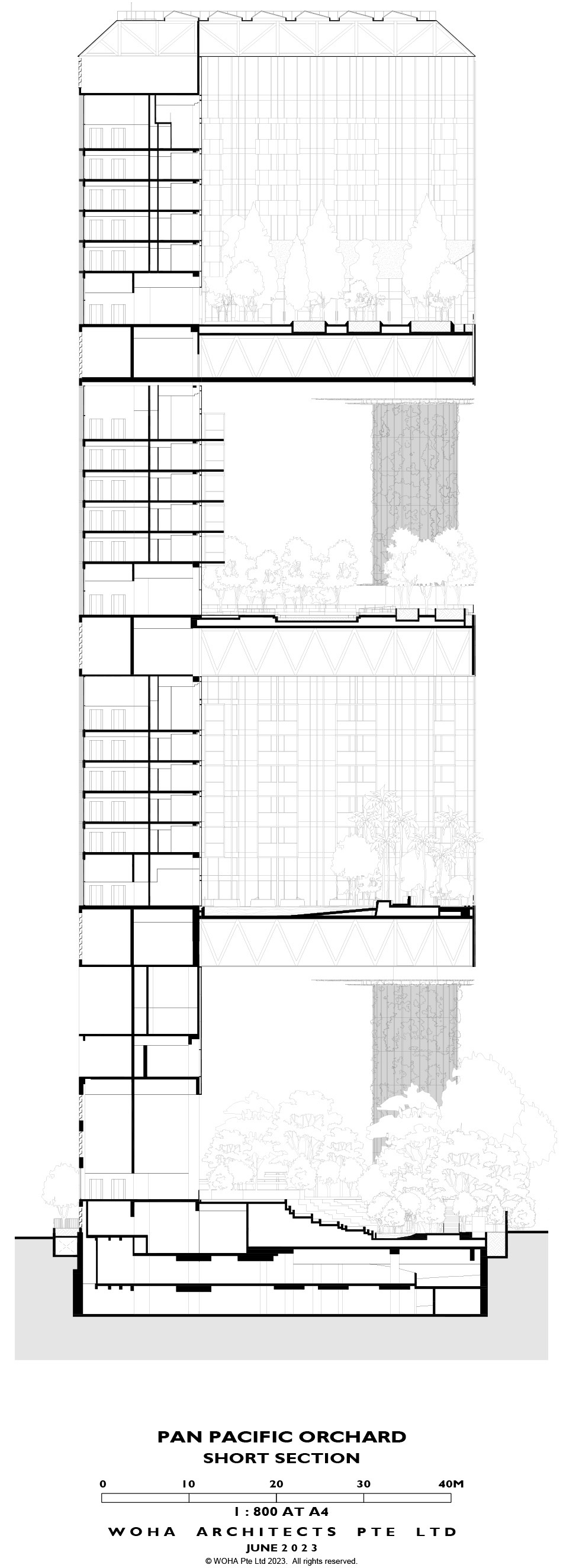 Gallery of Pan Pacific Orchard Hotel / WOHA - 27