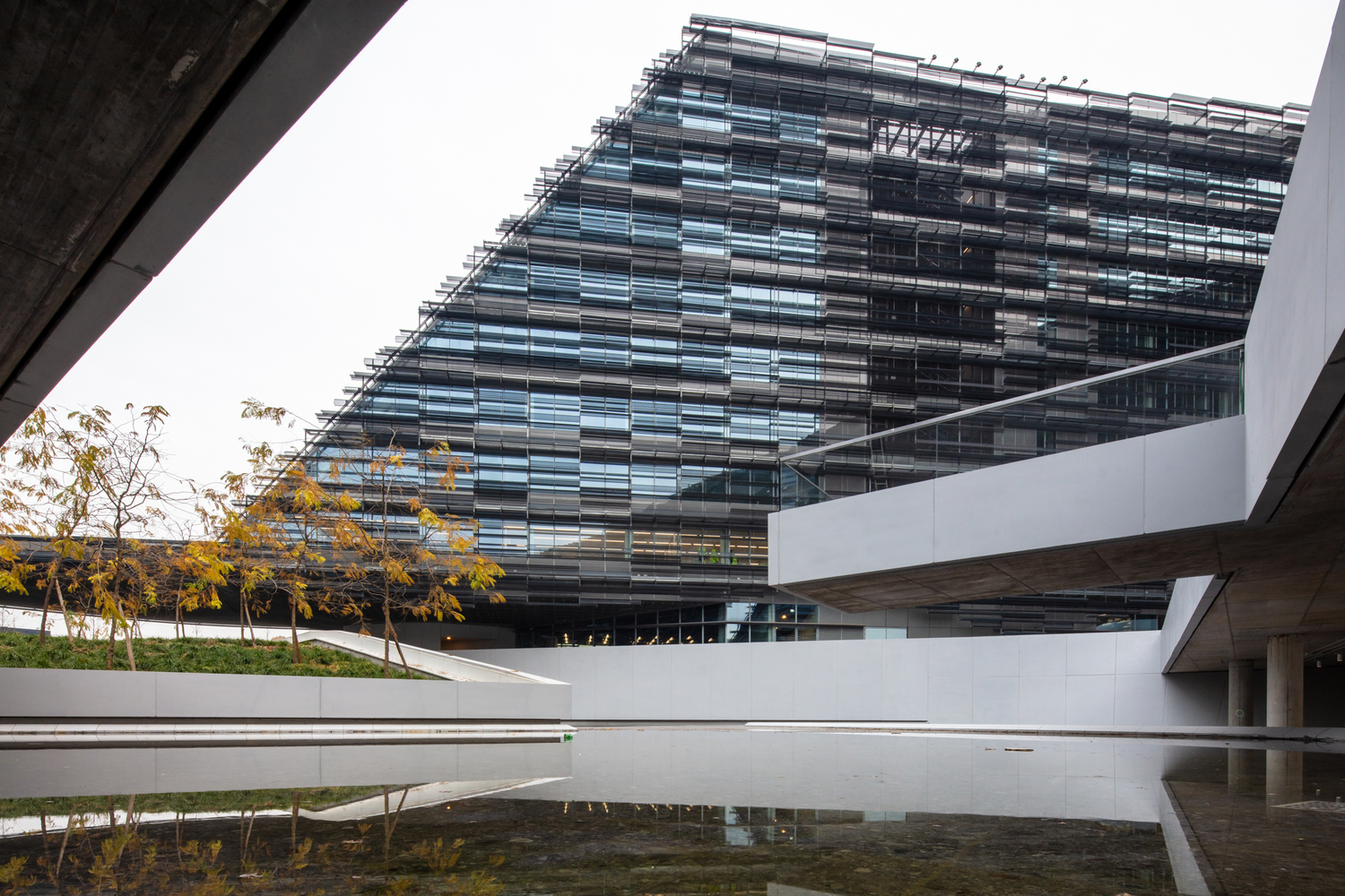 画廊 埃尼集团米兰总部 / Morphosis Architects - 22