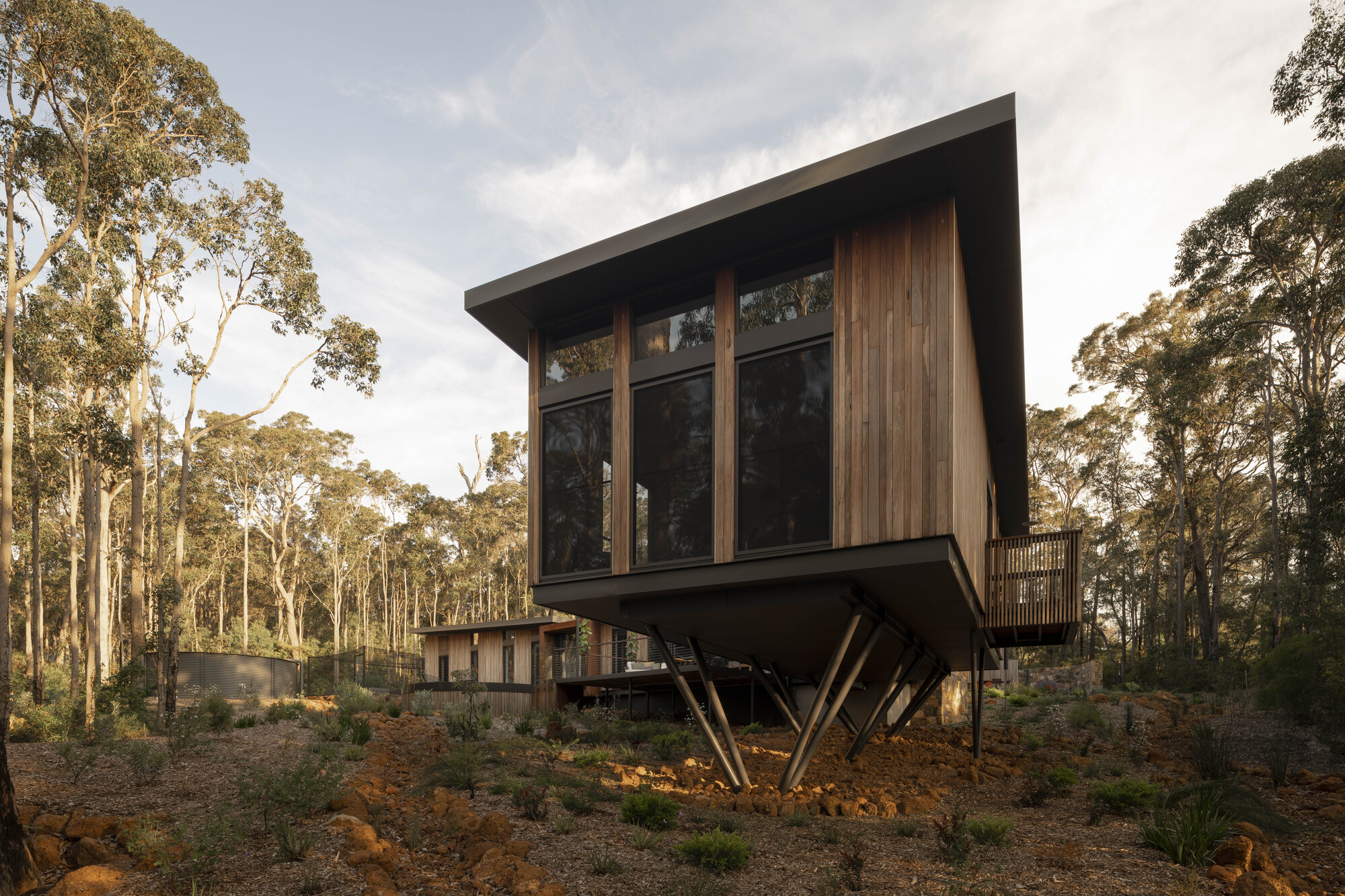 Gallery of Treehouse / Suzanne Hunt Architect - 12