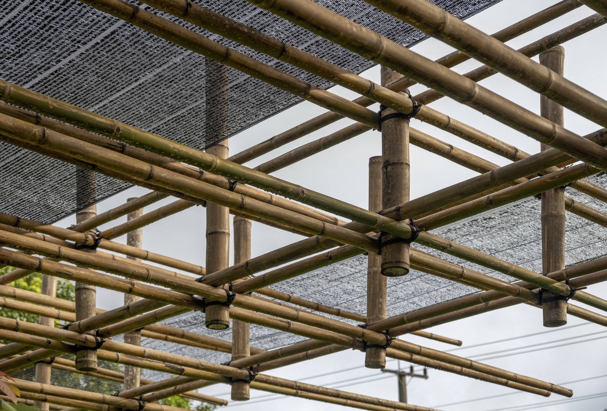 Gallery of Thingamajiggy Coffee Roaster / Yangnar Studio - 17