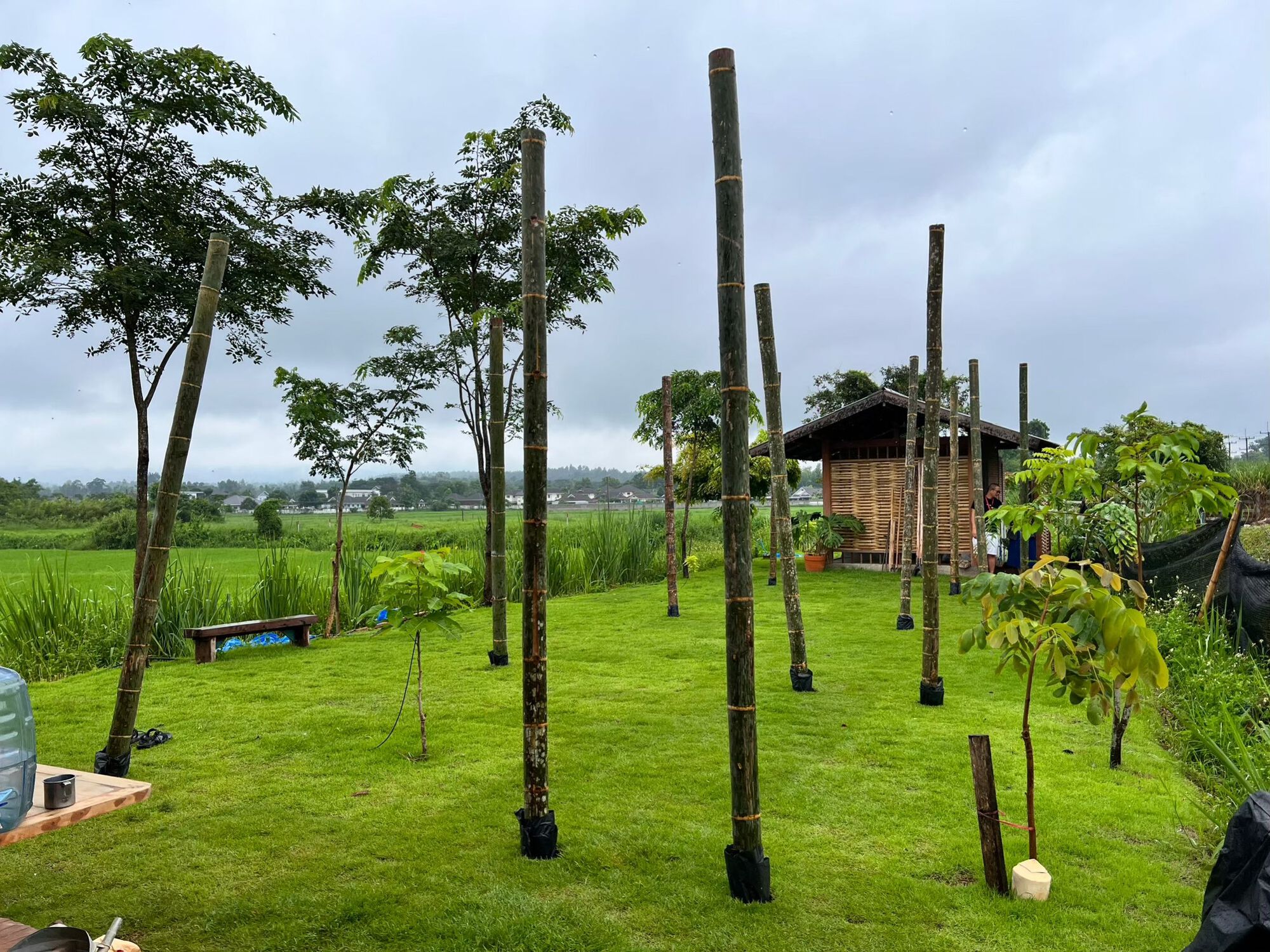 Gallery of Thingamajiggy Coffee Roaster / Yangnar Studio - 23