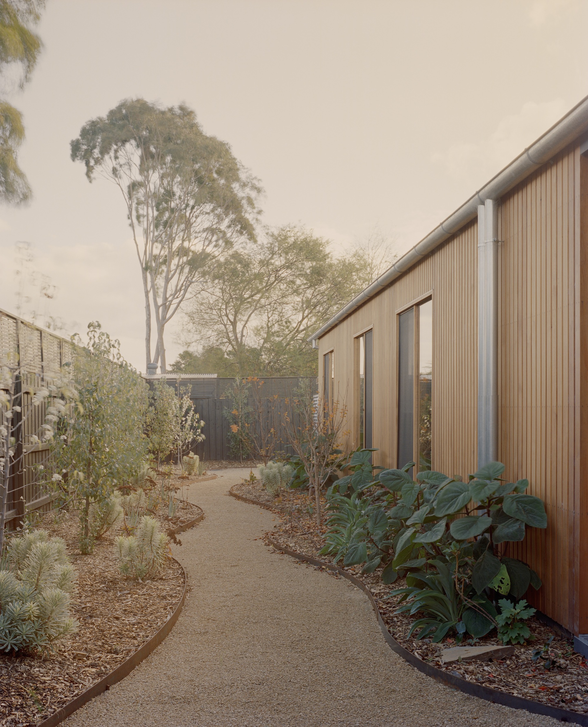 Gallery of Stumpy Gully House / markowitzdesign + Stavrias Architecture ...