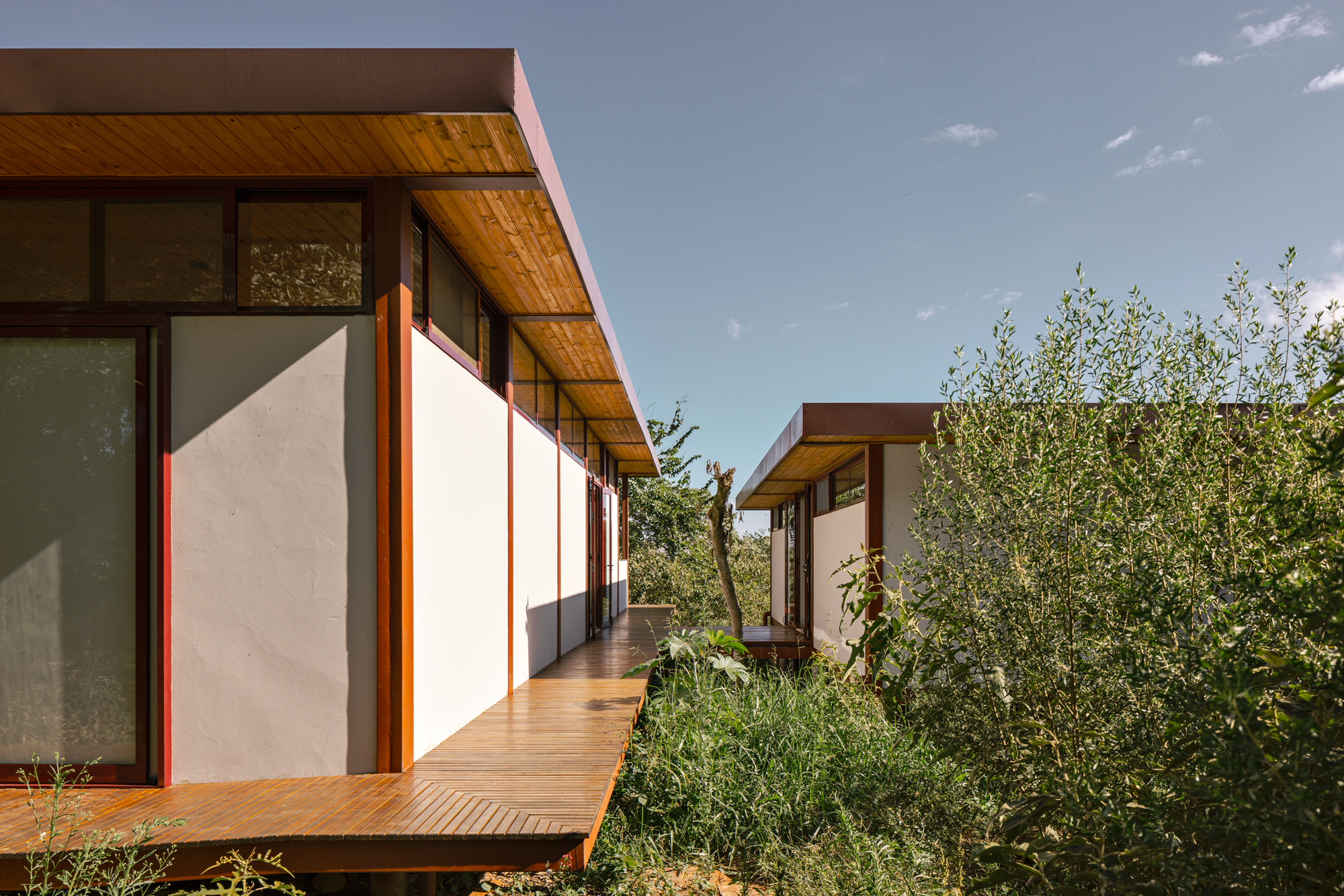 Gallery of Hibiscus House / F.studio arquitetura + design - 34