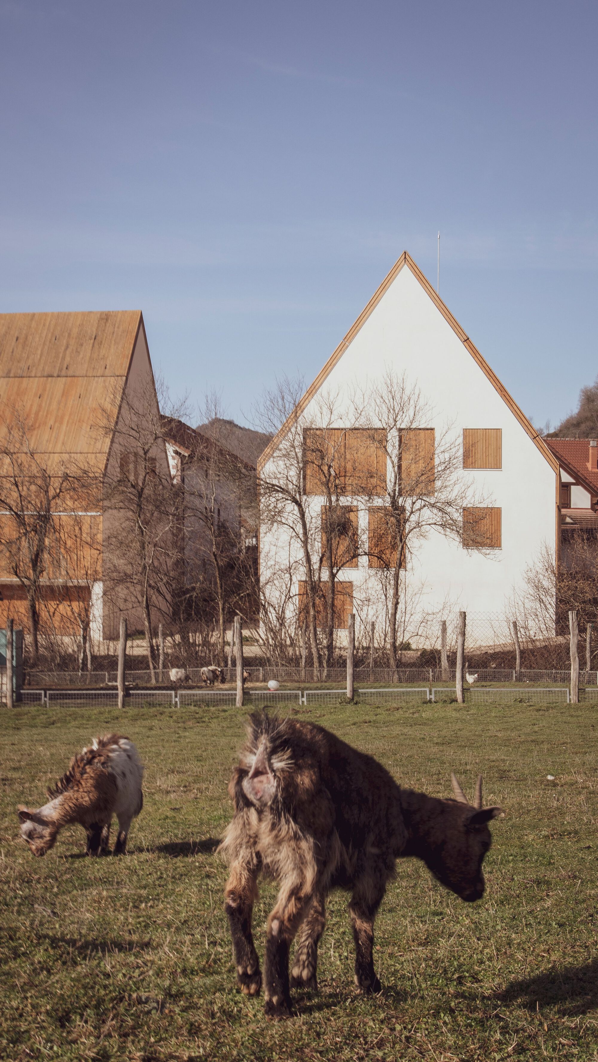 Gallery of Housing in Garralda / Nazareth Gutierrez Franco + Rodrigo ...