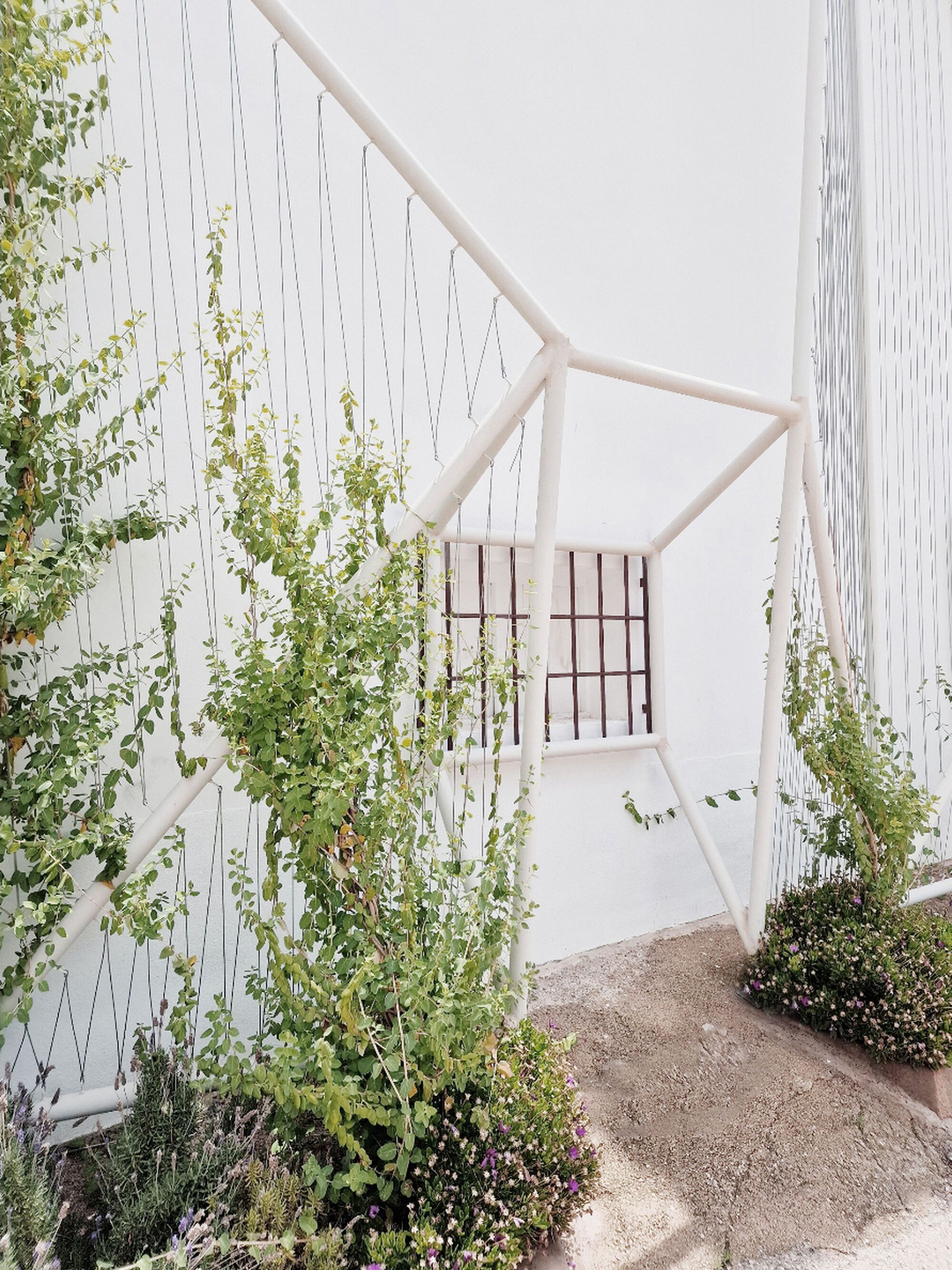 Gallery of Viña Elena Winery / Santa-Cruz Arquitectura - 8
