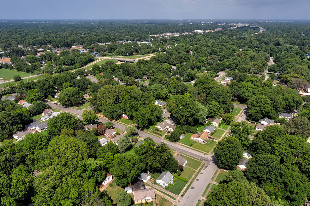O verde insustentável do subúrbio americano | ArchDaily Brasil