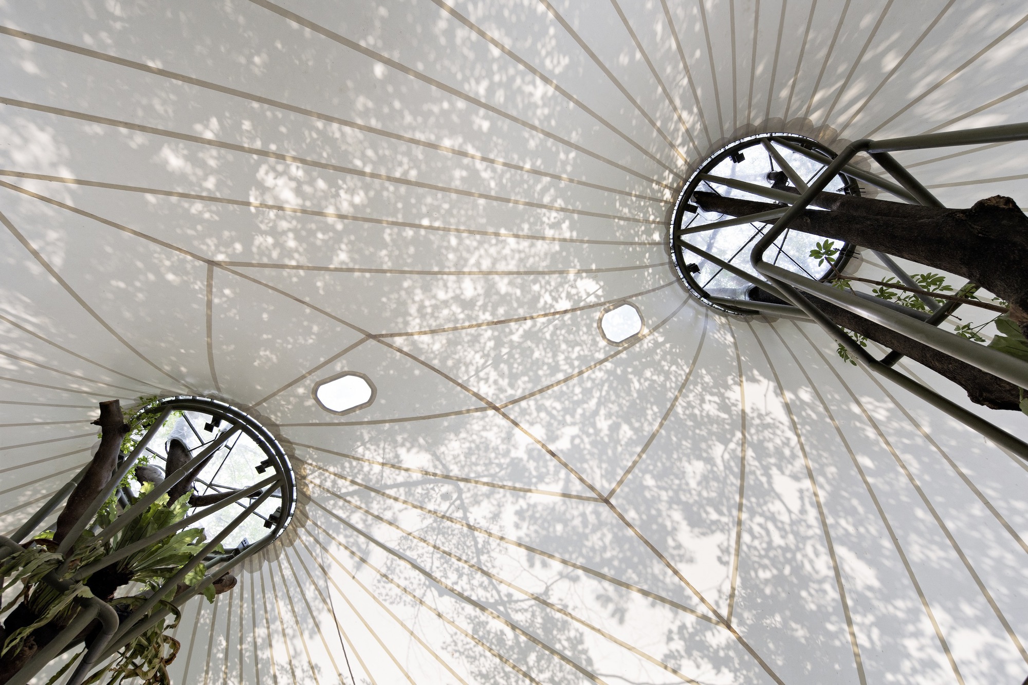 Gallery of Stalk Tree-hugger Bar / RAD+ar (Research Artistic Design ...
