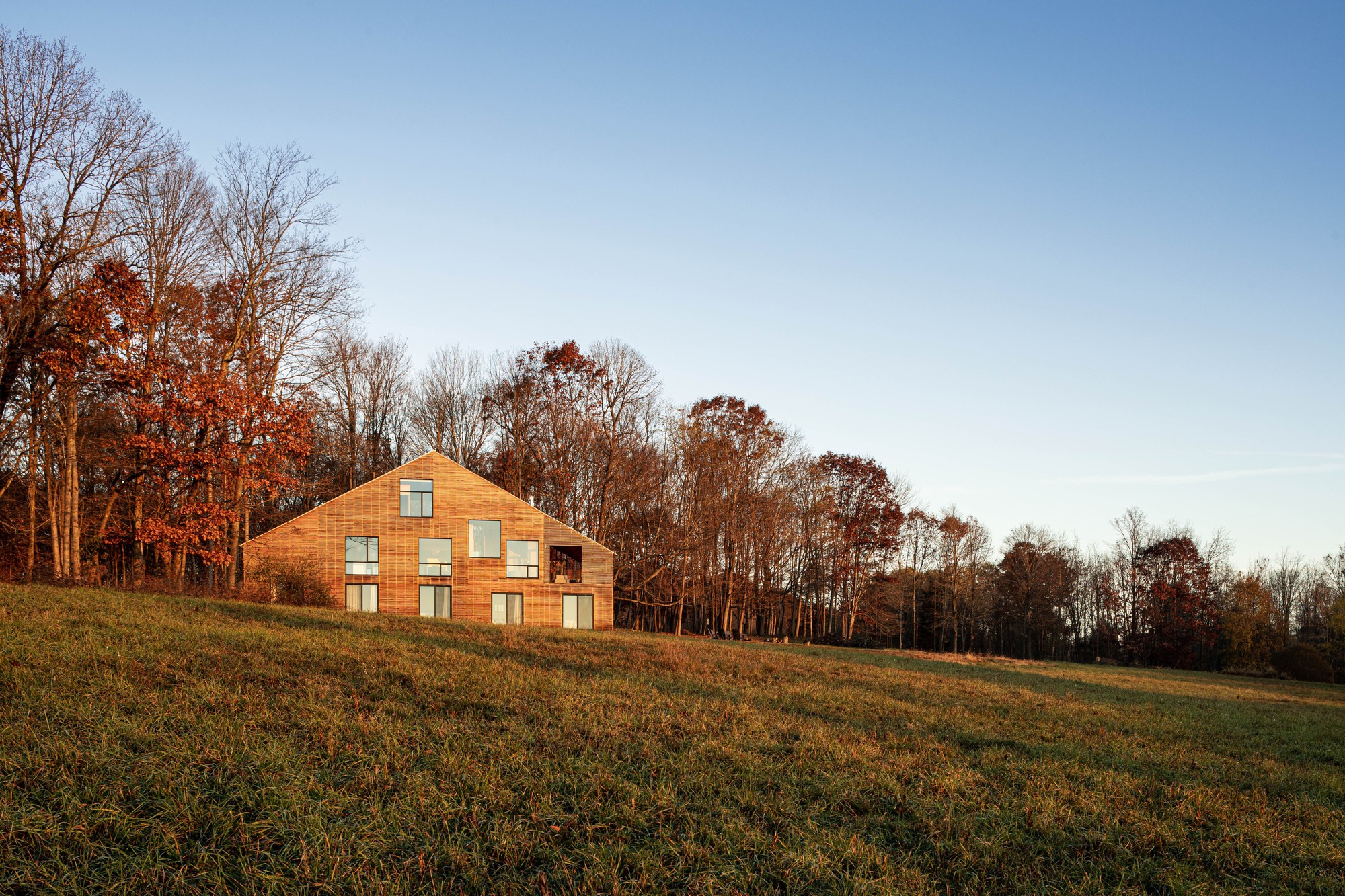 Gallery of House Between Forest and Field / nArchitects - 7