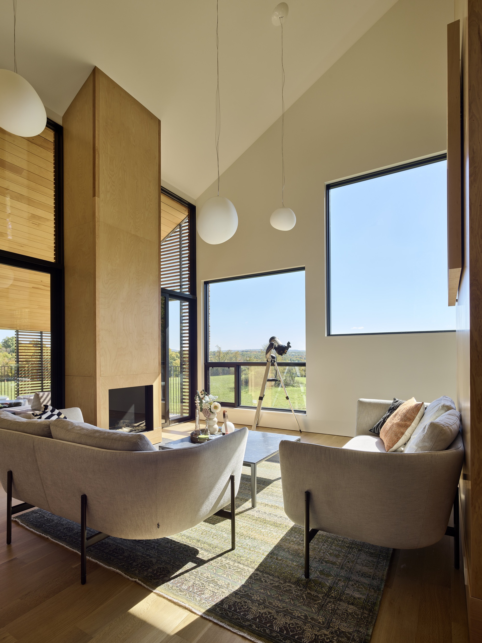 Gallery of House Between Forest and Field / nArchitects - 5