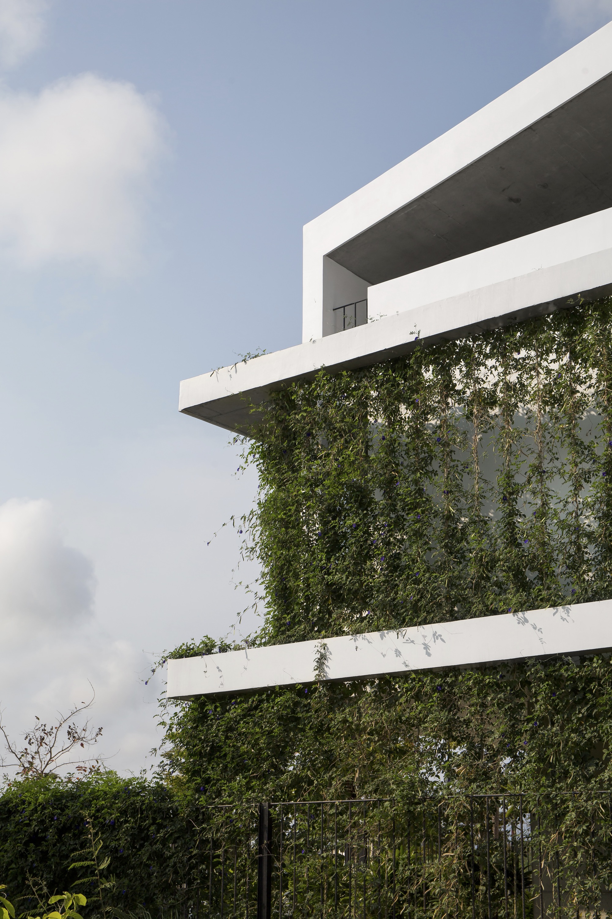 Gallery of PsA House / PsA Architecture - 5