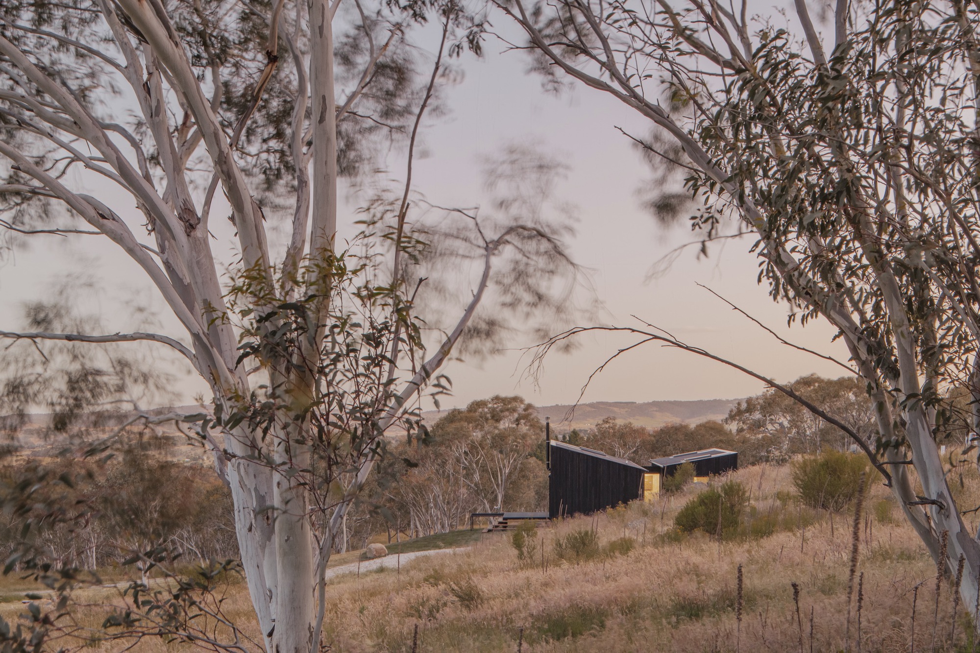 Gallery of Common Kosci House / Alan Powell Studio - 10