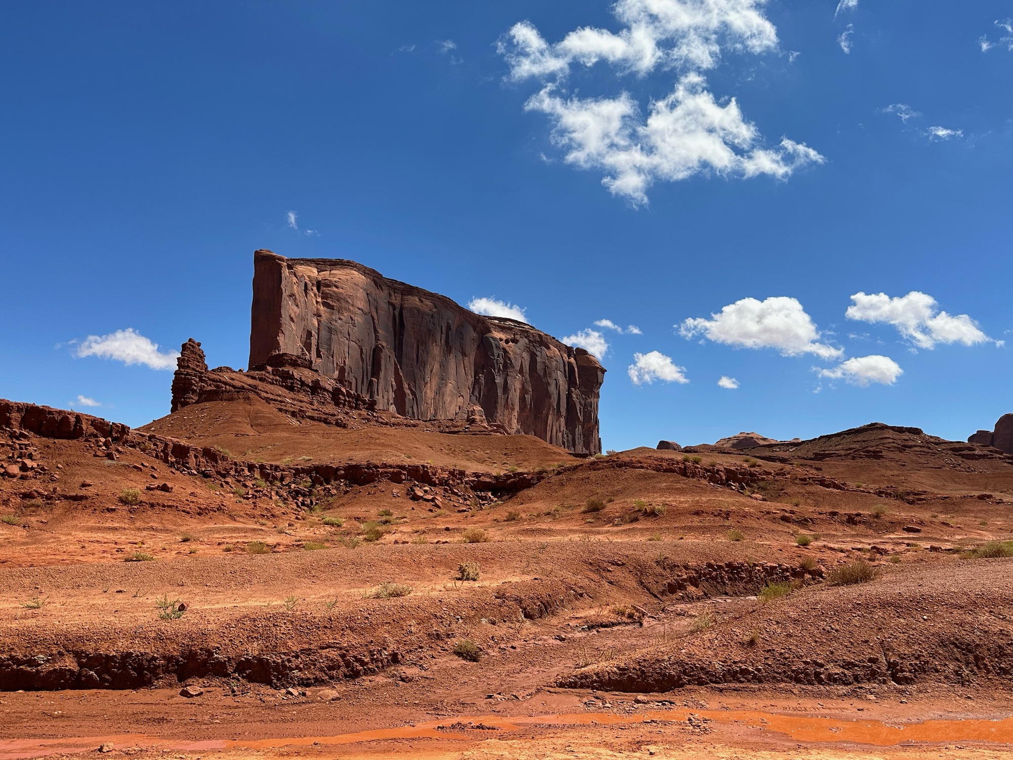 Gallery of The Second Studio Podcast: Local Architecture and Natural ...