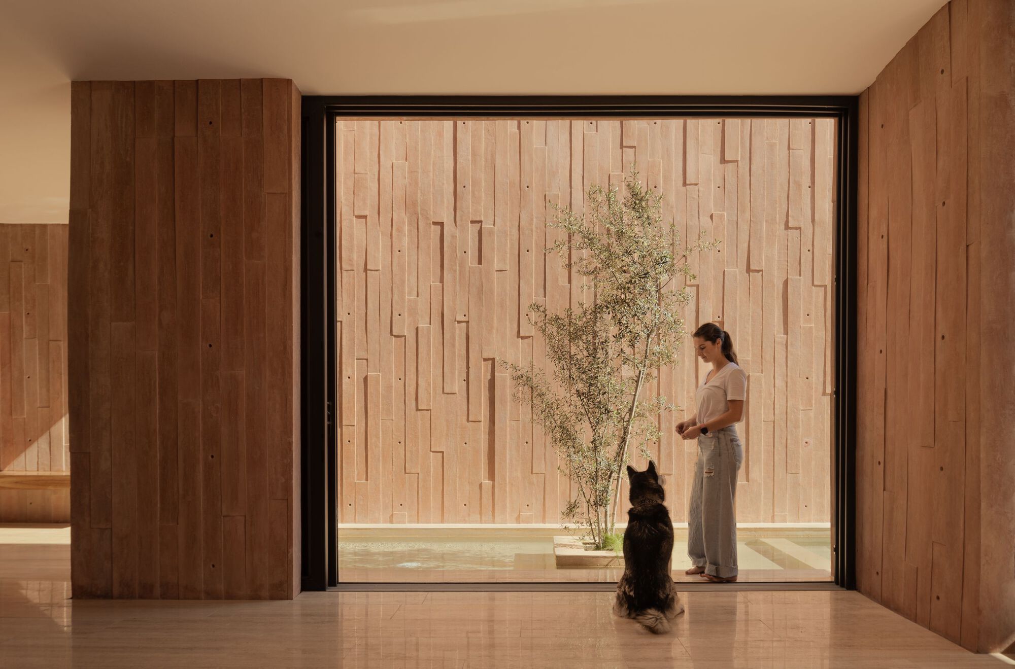 Gallery of Lujambio House / Jorge Garibay Arquitectos - 13