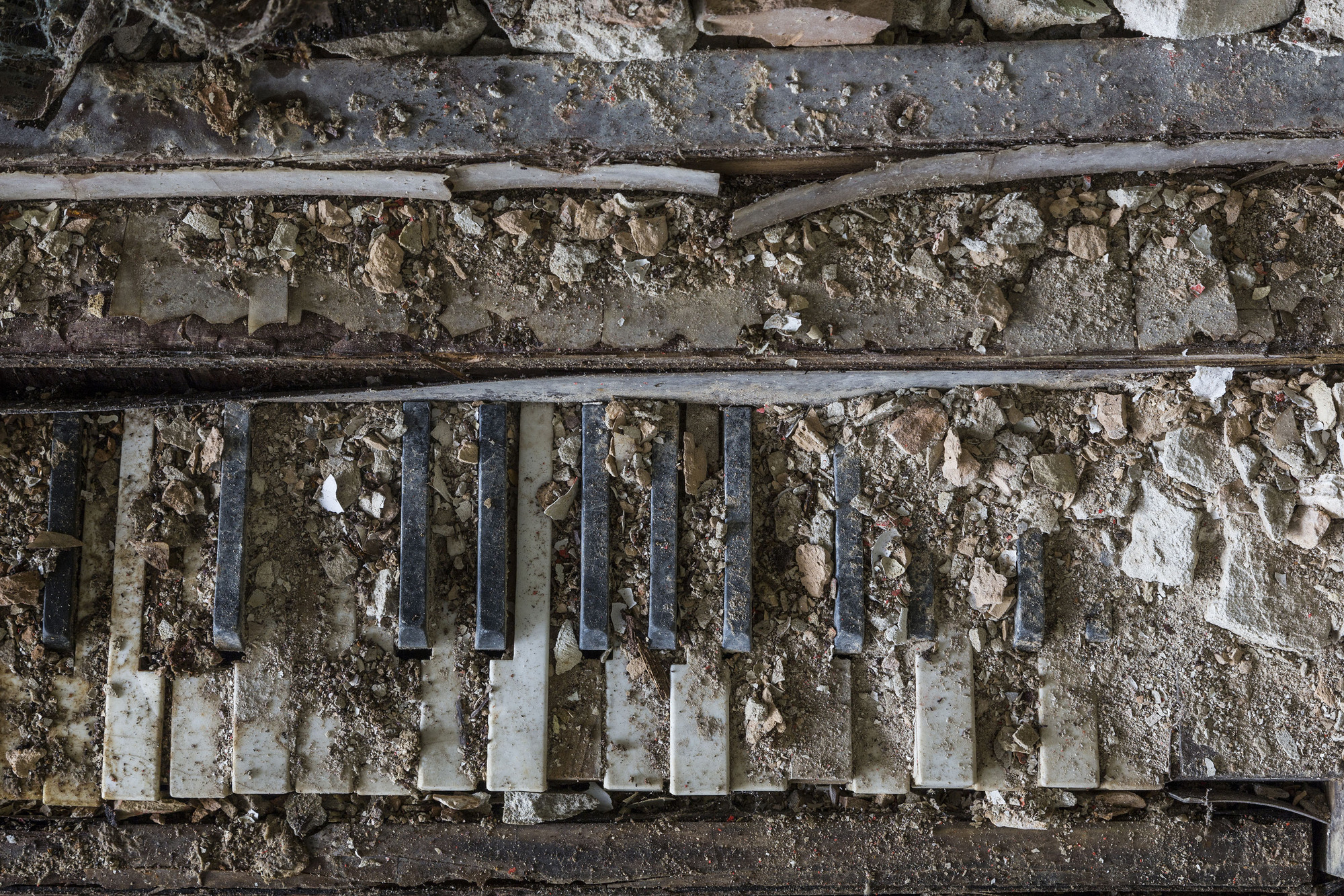 Gallery of The Lost World - 2