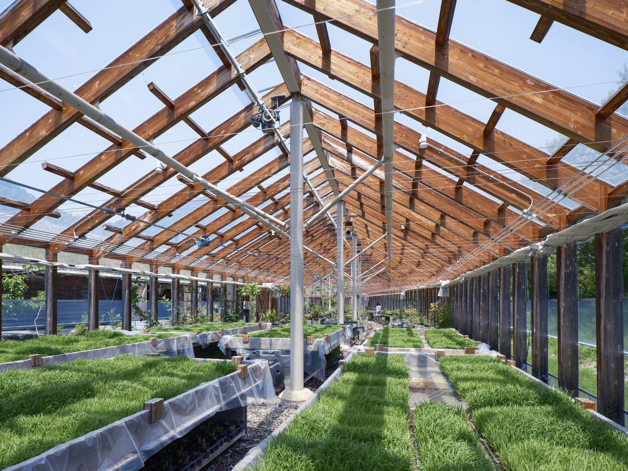 Galeria de Fazenda Candy Farm - Taneya Agri-Culture / KYOTO University ...
