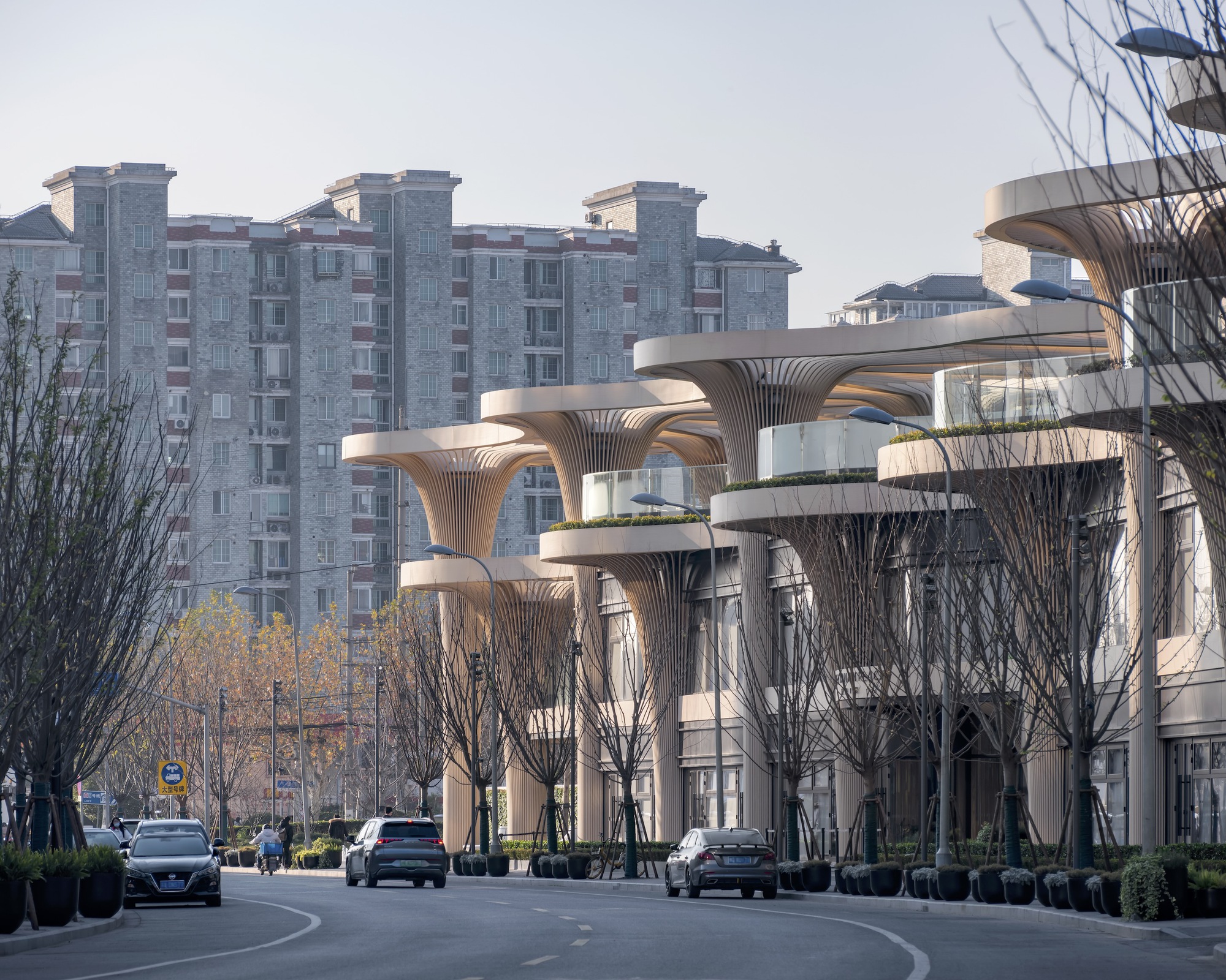 Gallery of Solar Trees Marketplace / Koichi Takada Architects - 5