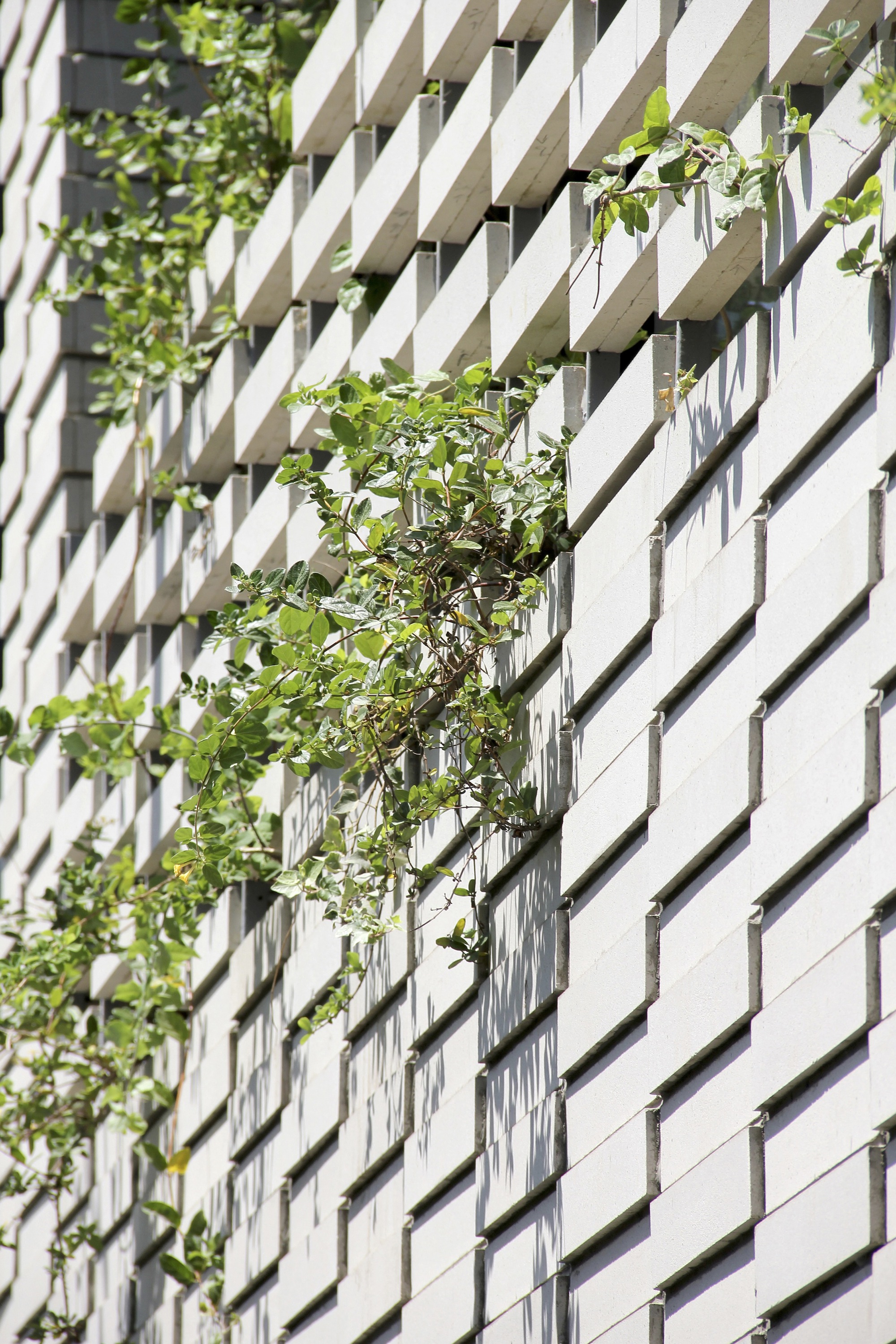 Gallery Of Sarvestan Apartments Karabon 15