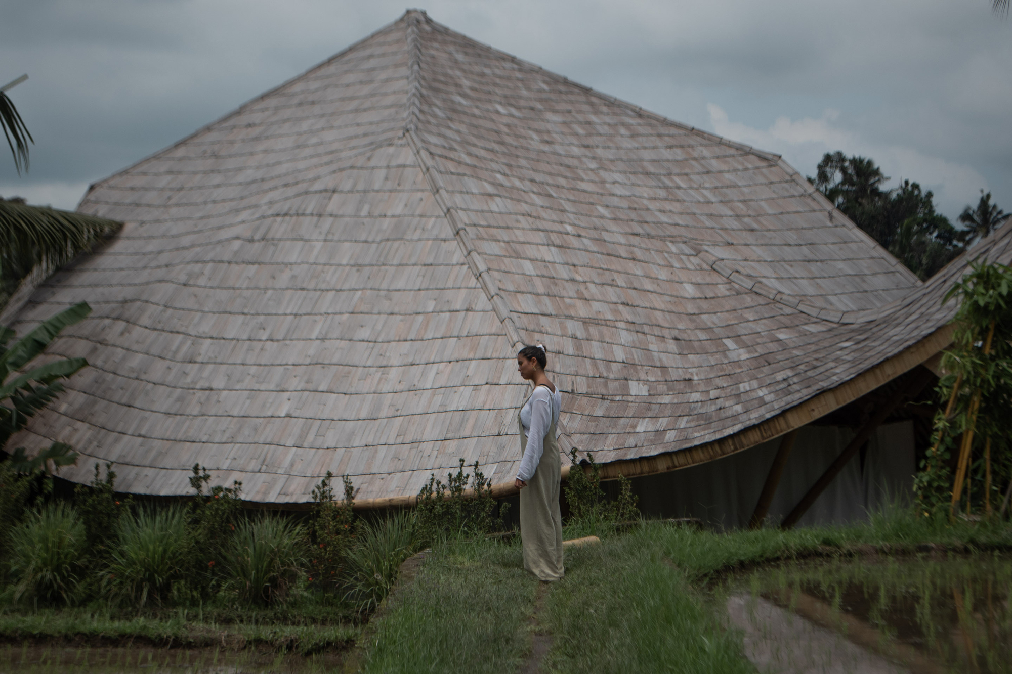 Gallery of Tea House / Pablo Luna Studio - 3