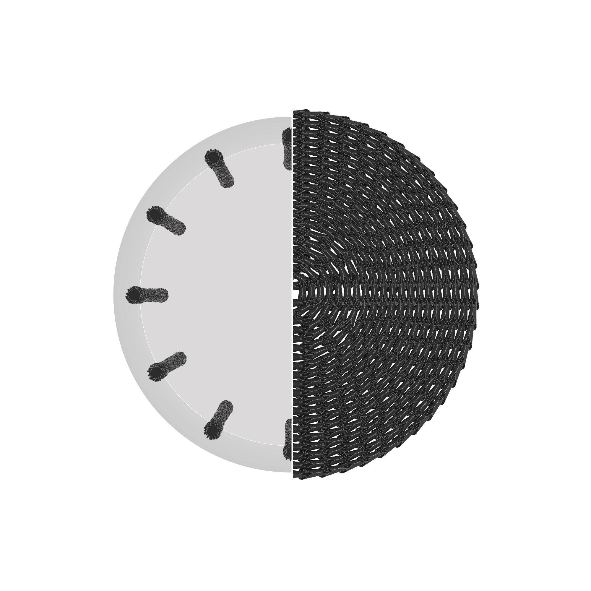 Gallery of Of Palm Pavilion / MULA Design Studio - 10