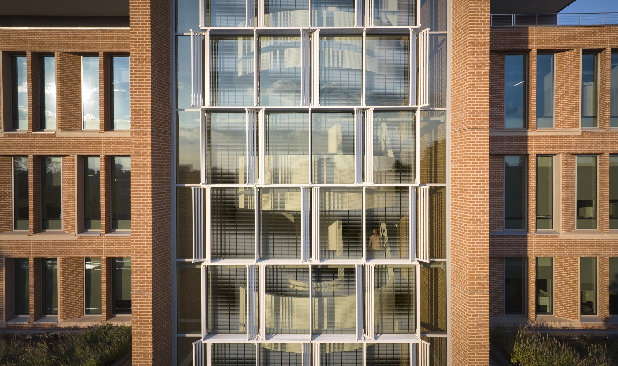 Gallery of The Ralph S. O’Connor Building for Engineering and Science ...