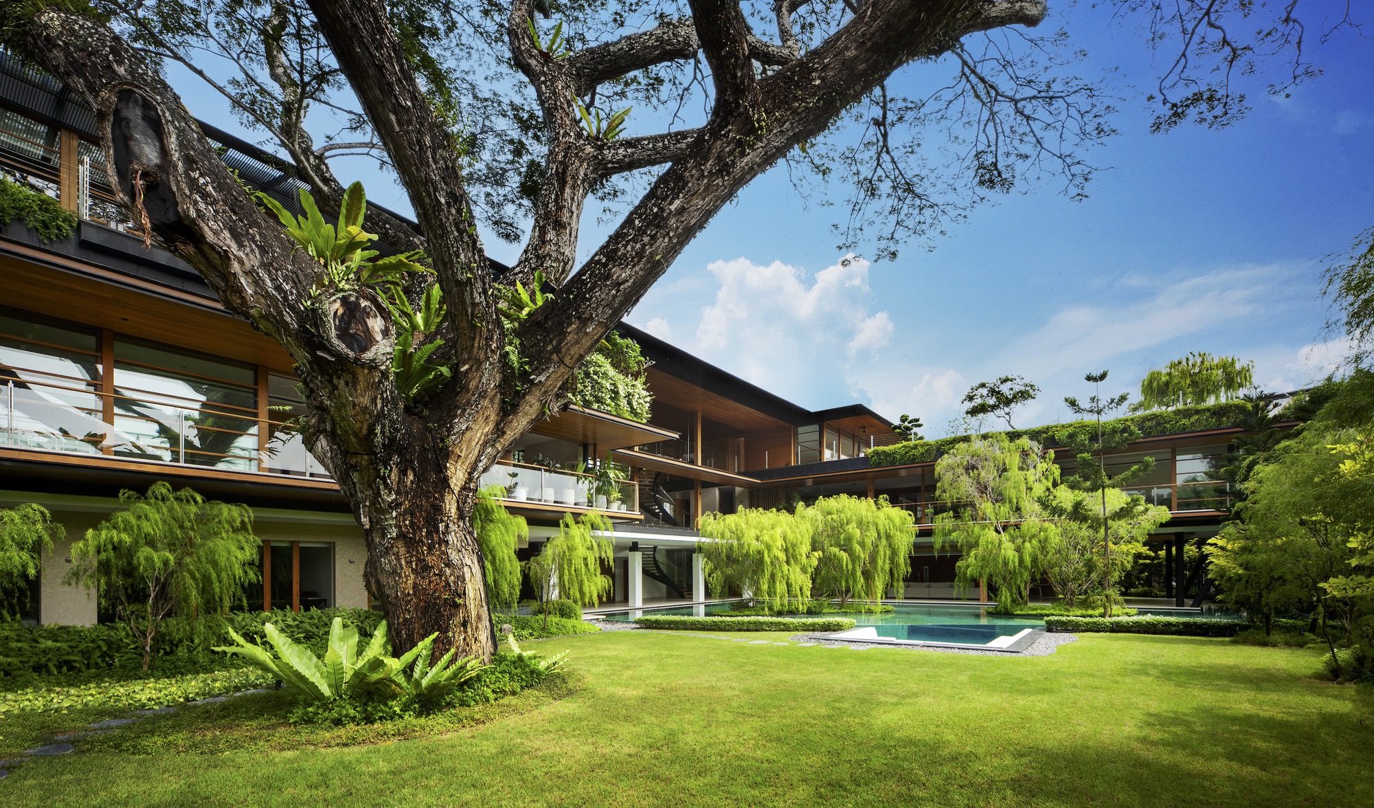 Gallery of Rain Tree House / Guz Architects - 2