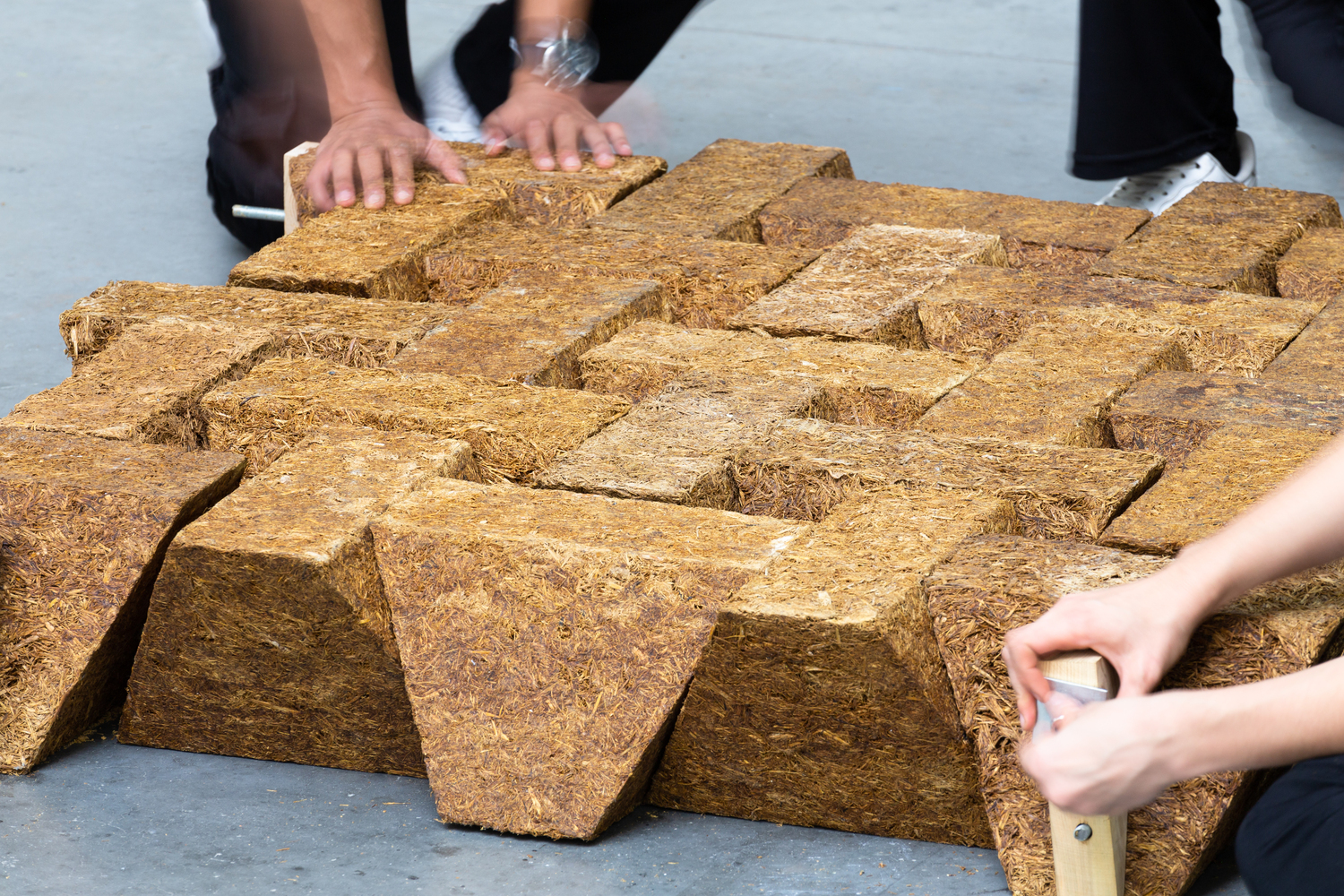 Gallery of From Agro-Waste to Decarbonization: The Innovative Materials ...