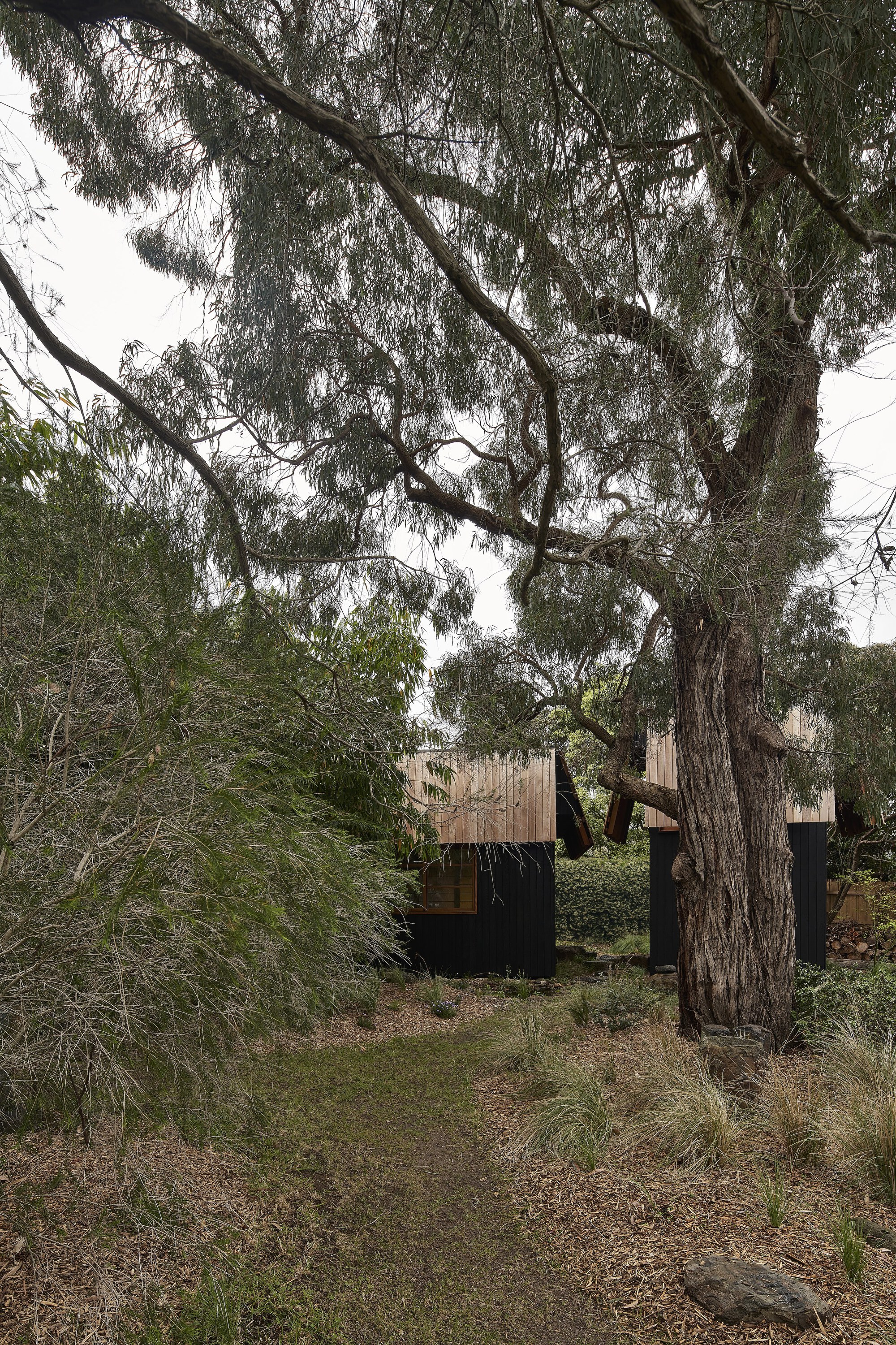 Gallery of Ember House / MRTN Architects - 11