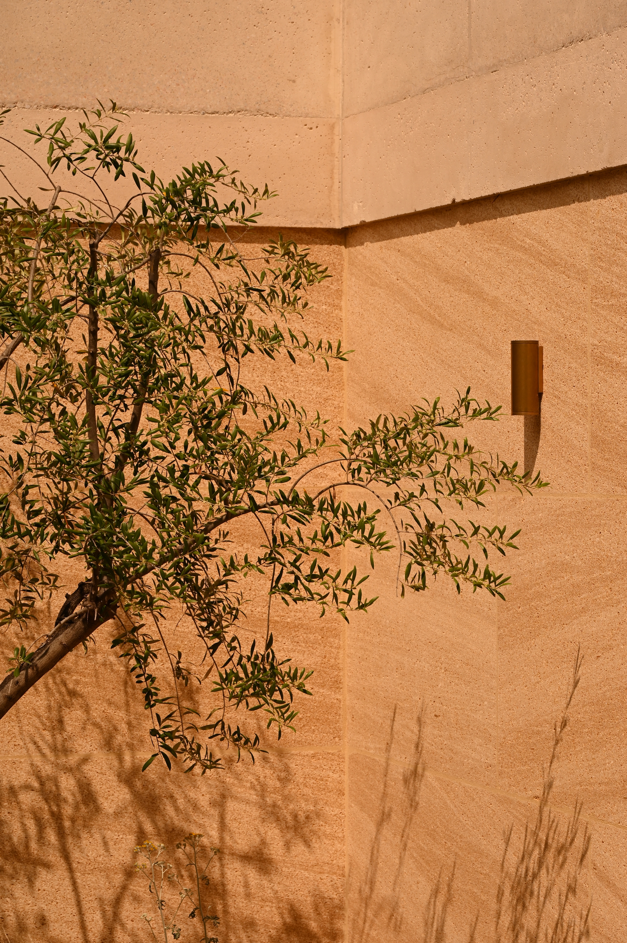 Gallery of Le Clos Villa / Bancaù Architectes - 17