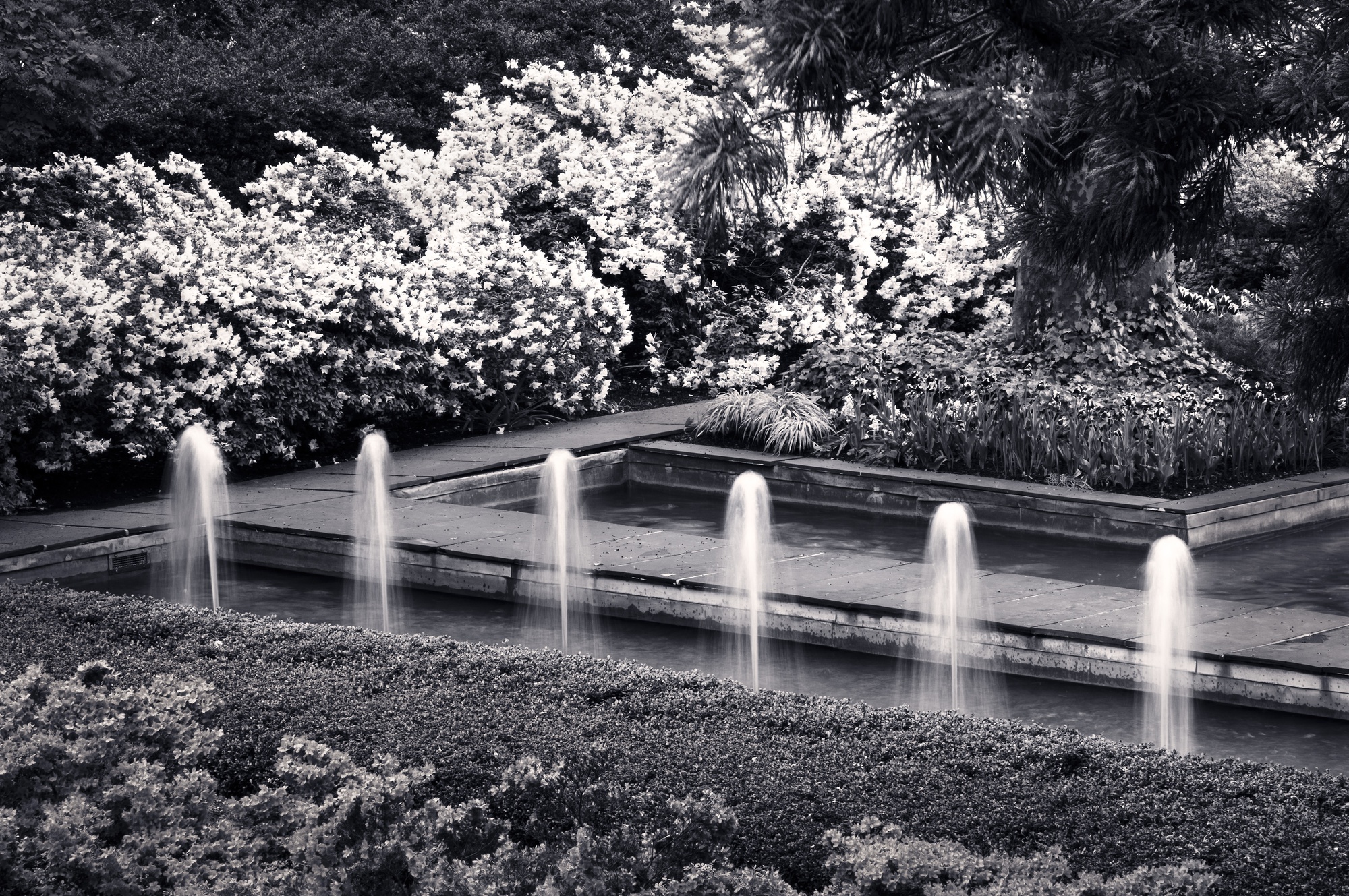 Gallery of Exploring the Legacy of Modernist Landscape Architect Dan ...