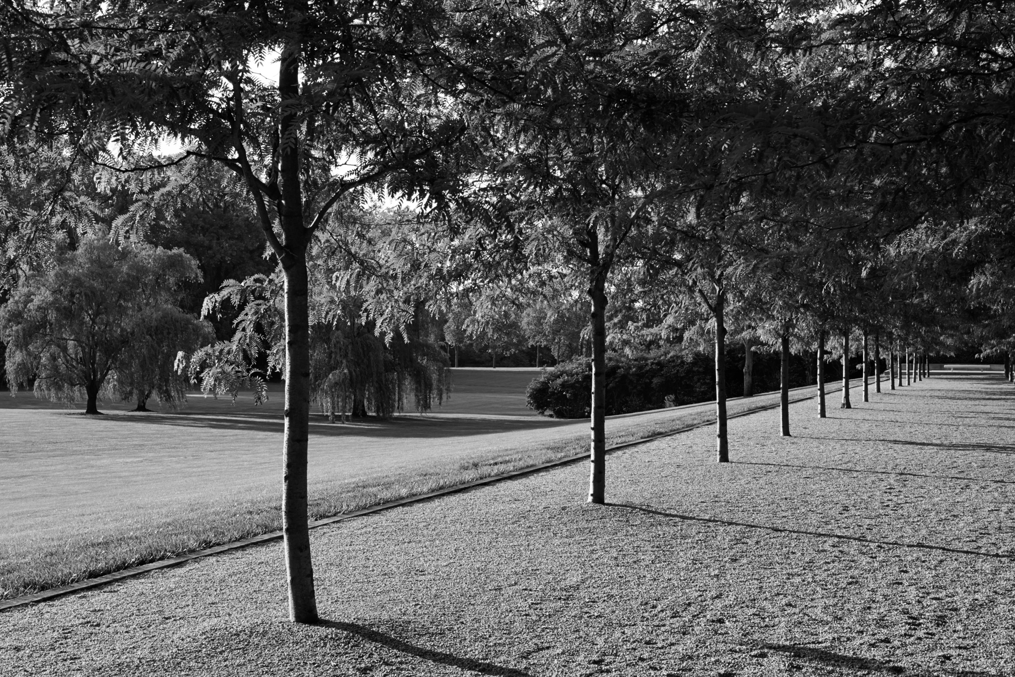 Gallery of Exploring the Legacy of Modernist Landscape Architect Dan ...