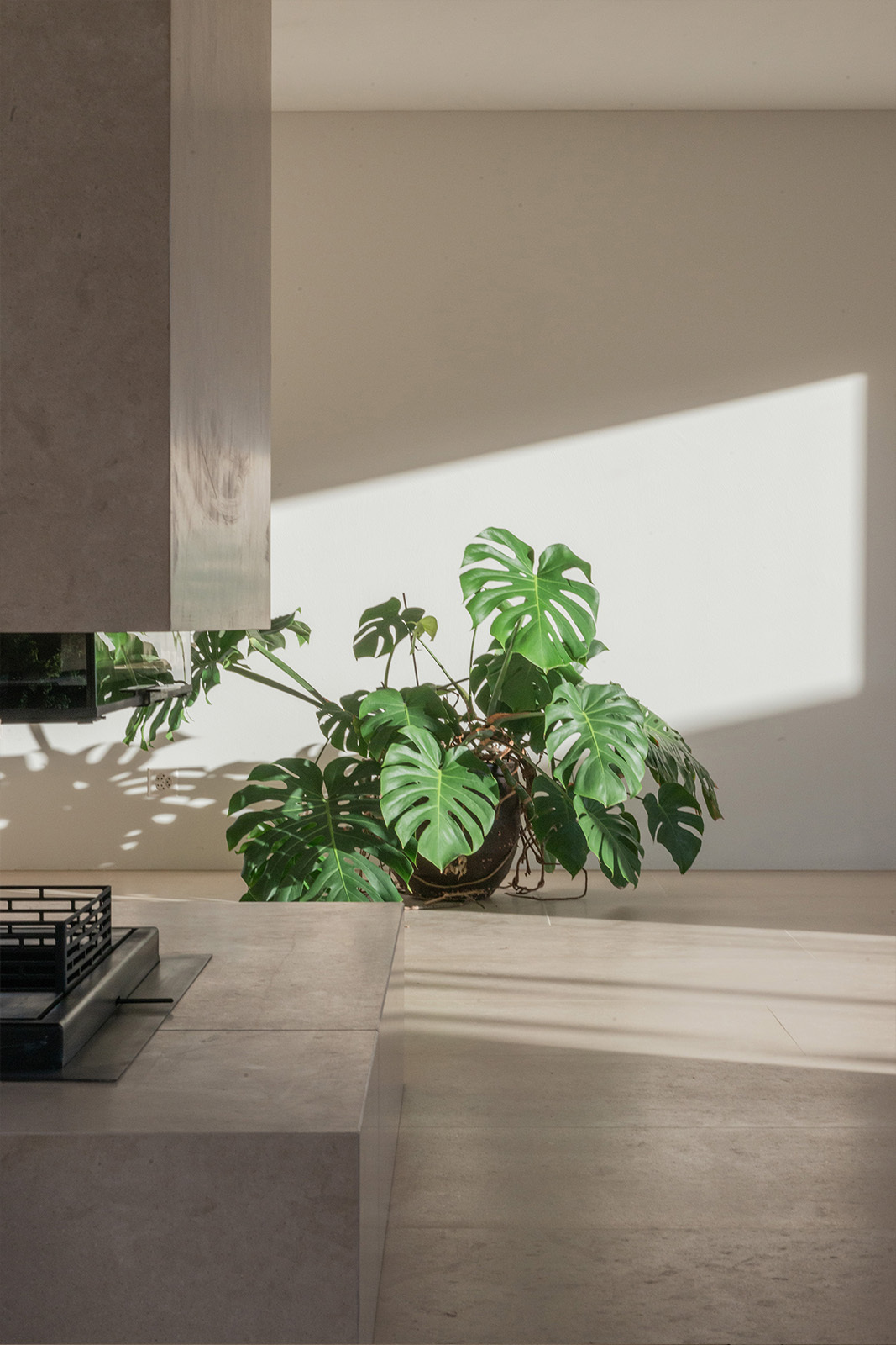 Galería de Casa con tres jardines / Allen + Crippa - 15